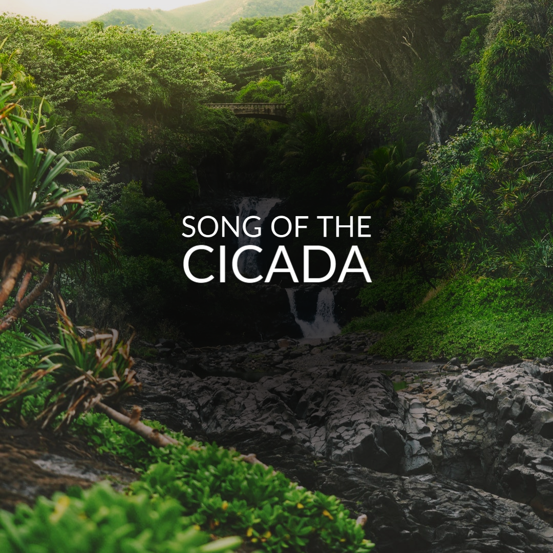 Song of the Cicada | Genesis Bible Fellowship Church