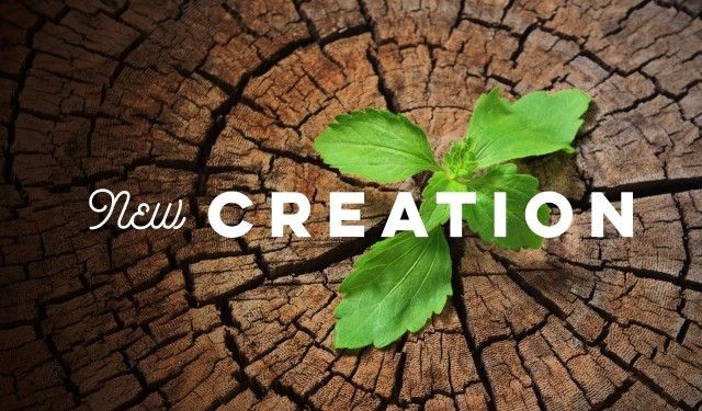 A New Creation | Genesis Bible Fellowship Church