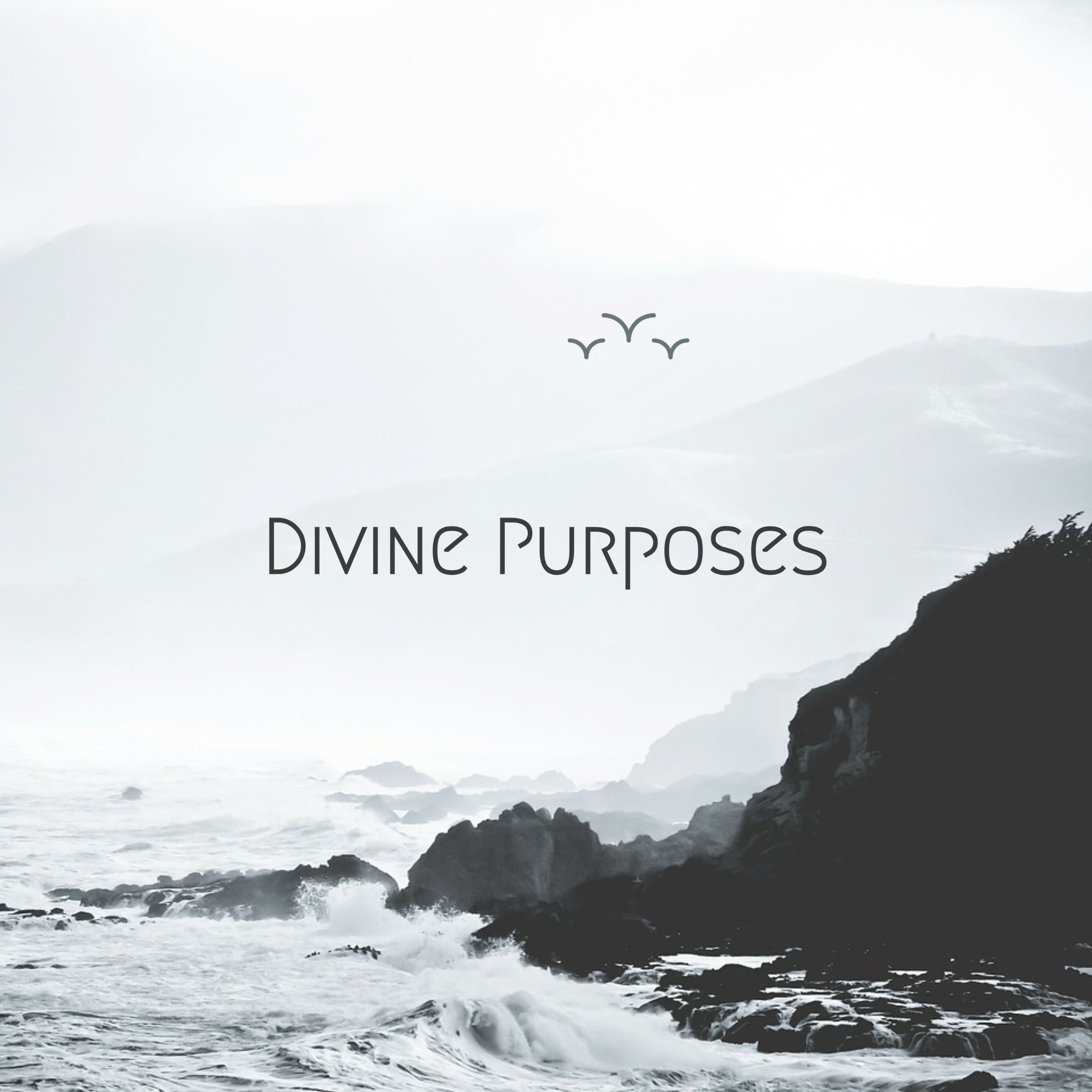 Divine Purposes | Genesis Bible Fellowship Church