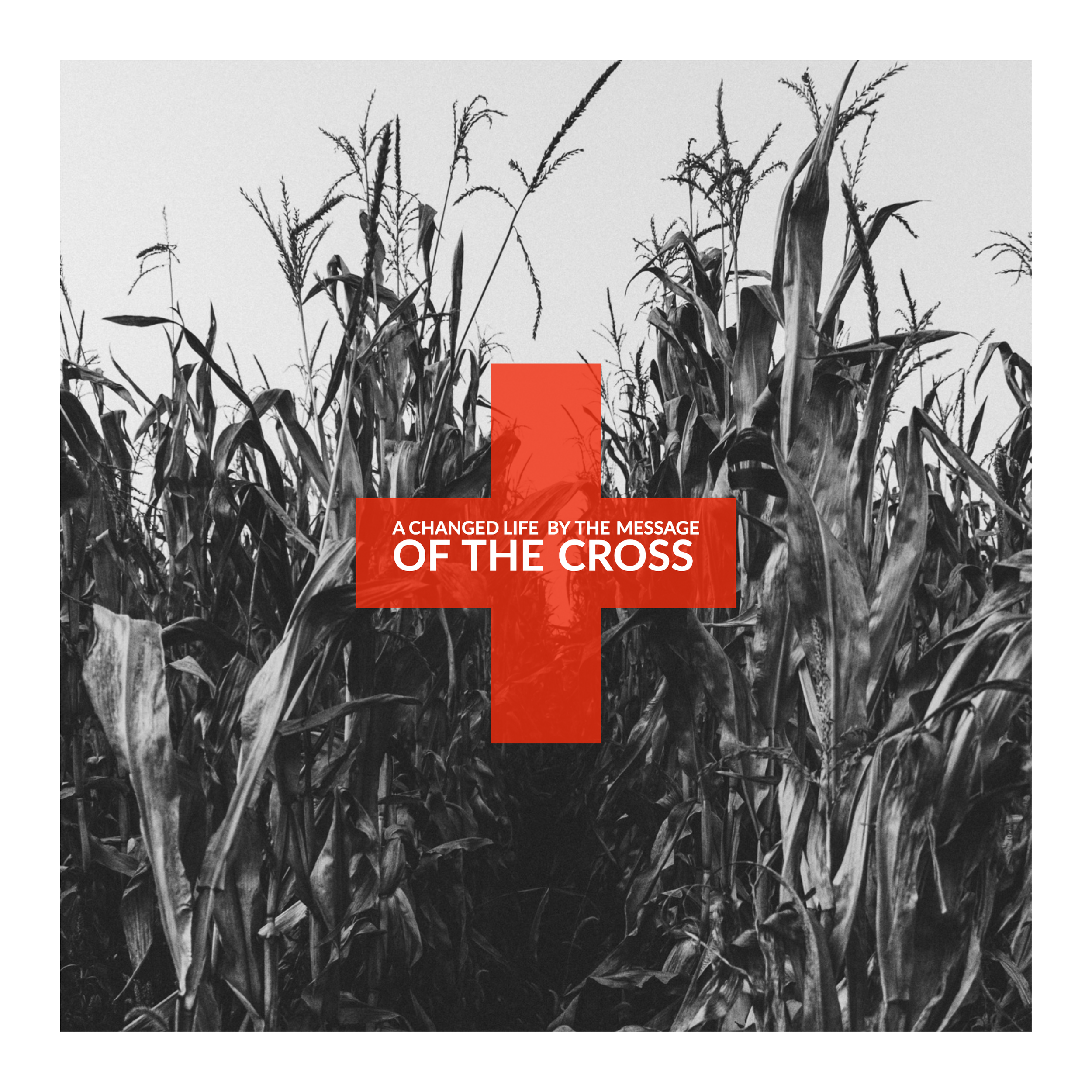 A Changed Life by the Message of the Cross | Genesis Bible Fellowship ...