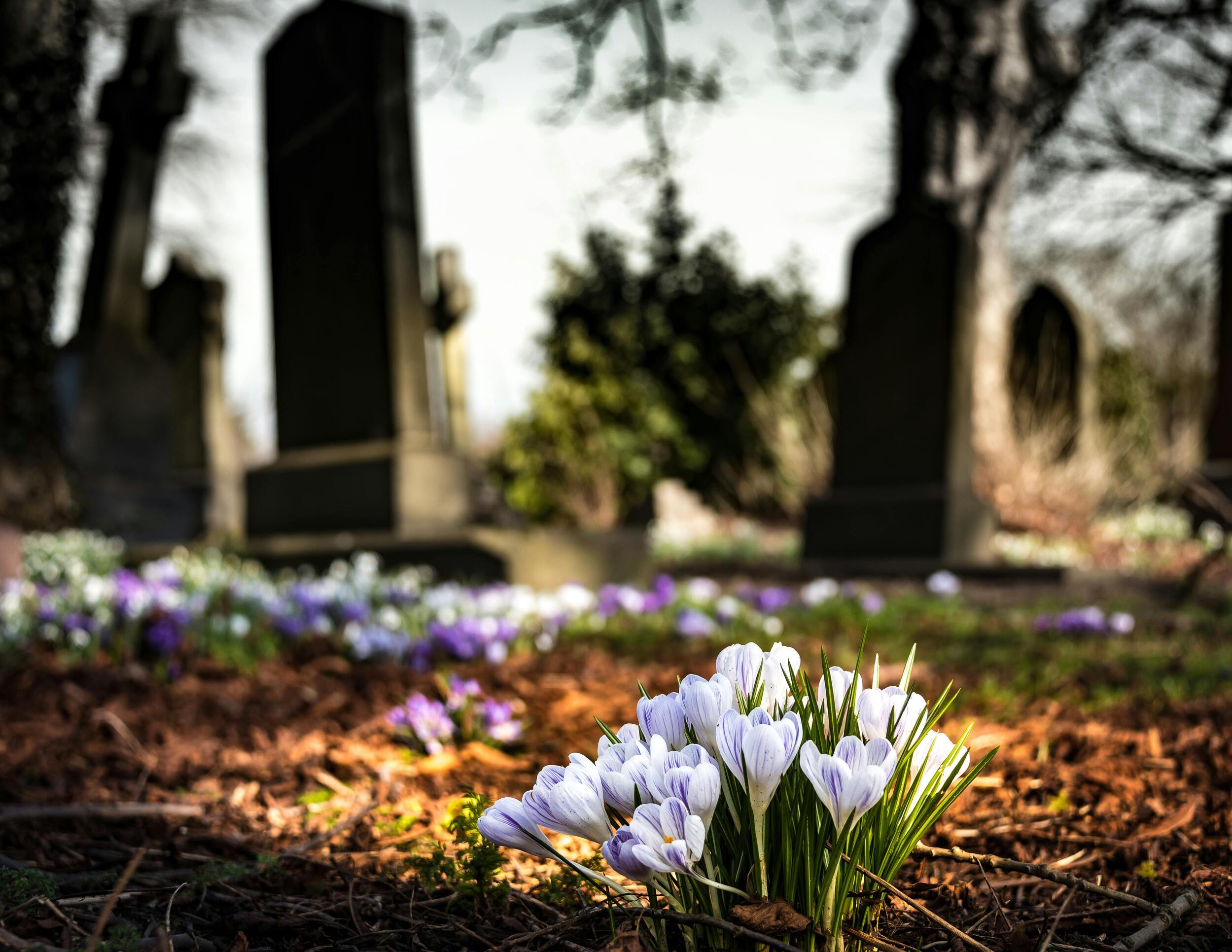 Dying by Faith | First Baptist Church of Kenova