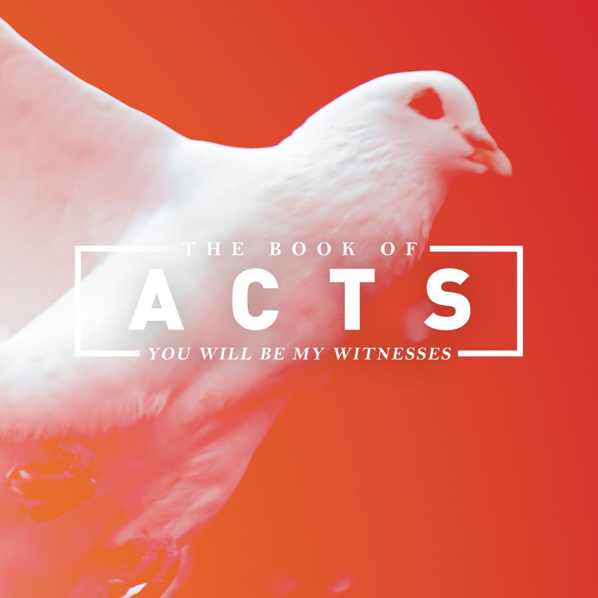 Acts || Promise | Sitka Assembly of God - AK
