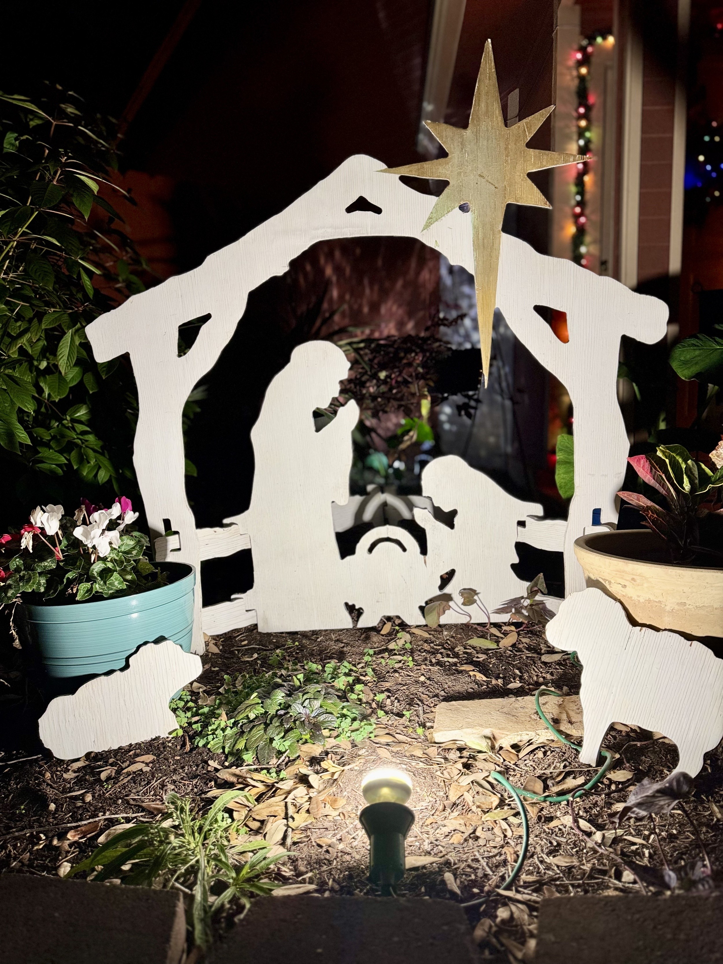 Home Alone No More | Disciple Daily