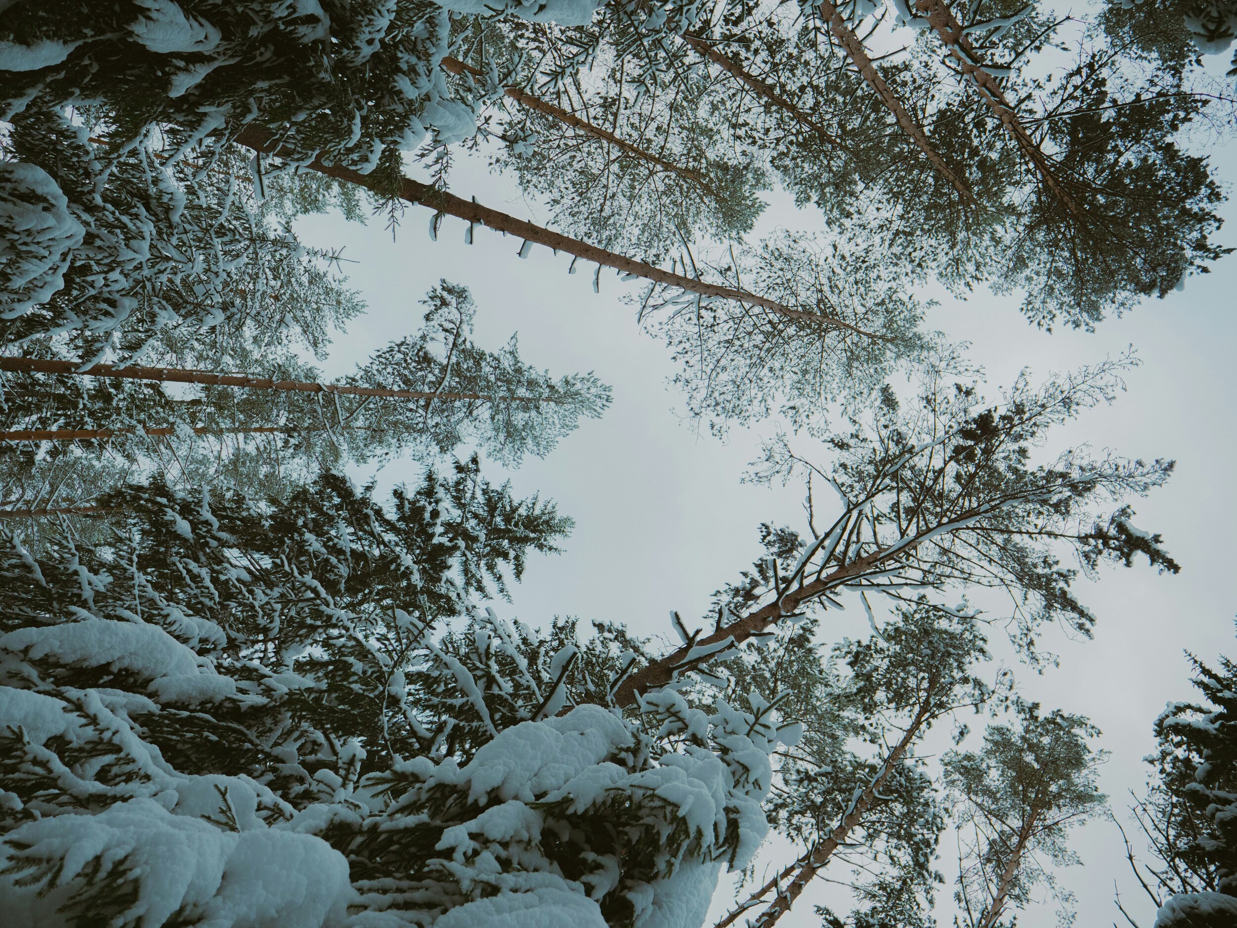 Sowing to the Spirit: Reaping Eternal Life | Devotional | Charles Price ...