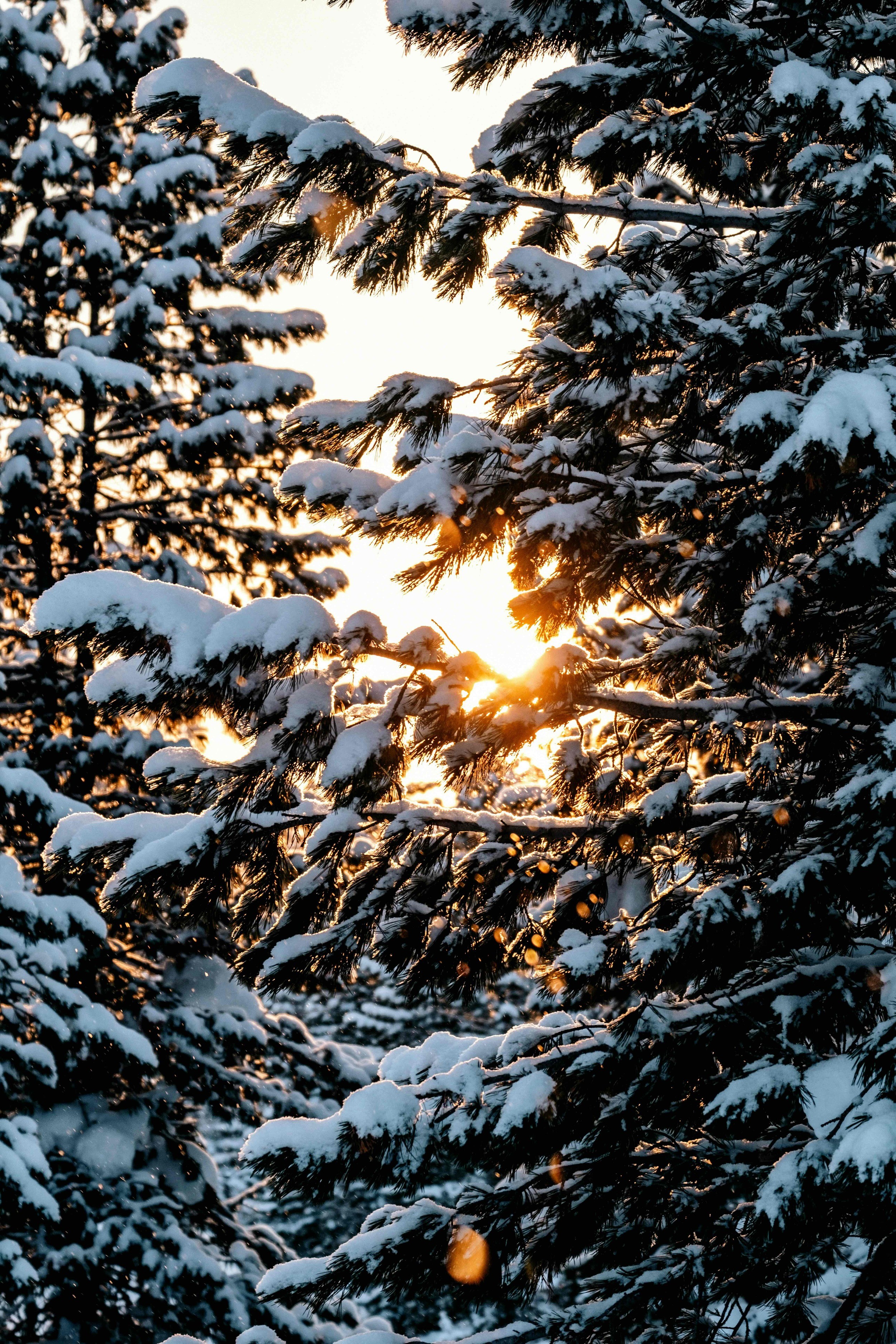 God Was With Joseph In All Circumstances | Devotional | Charles Price ...