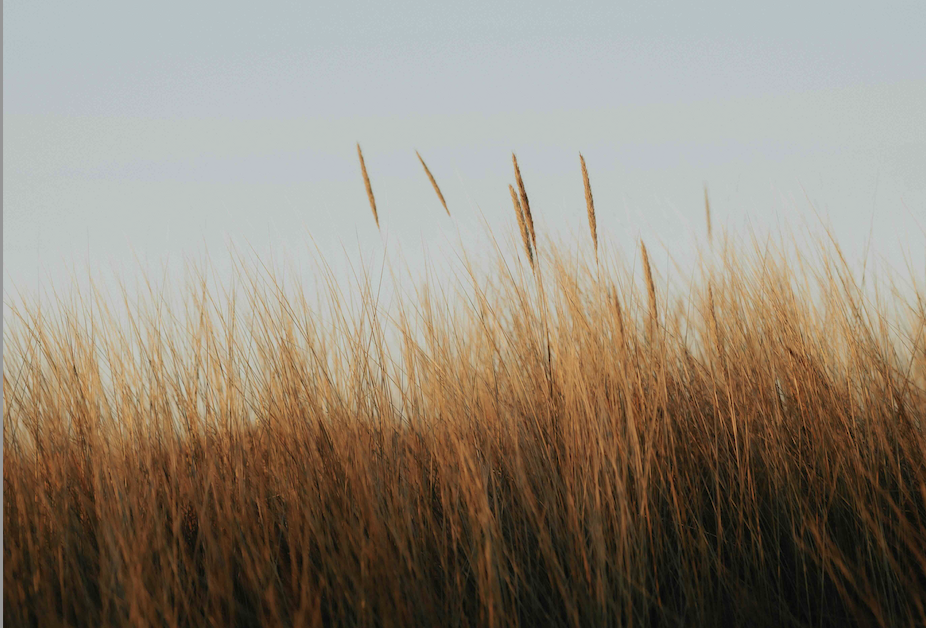 God Gave Joseph Success & Strength In All Circumstances | Charles Price ...