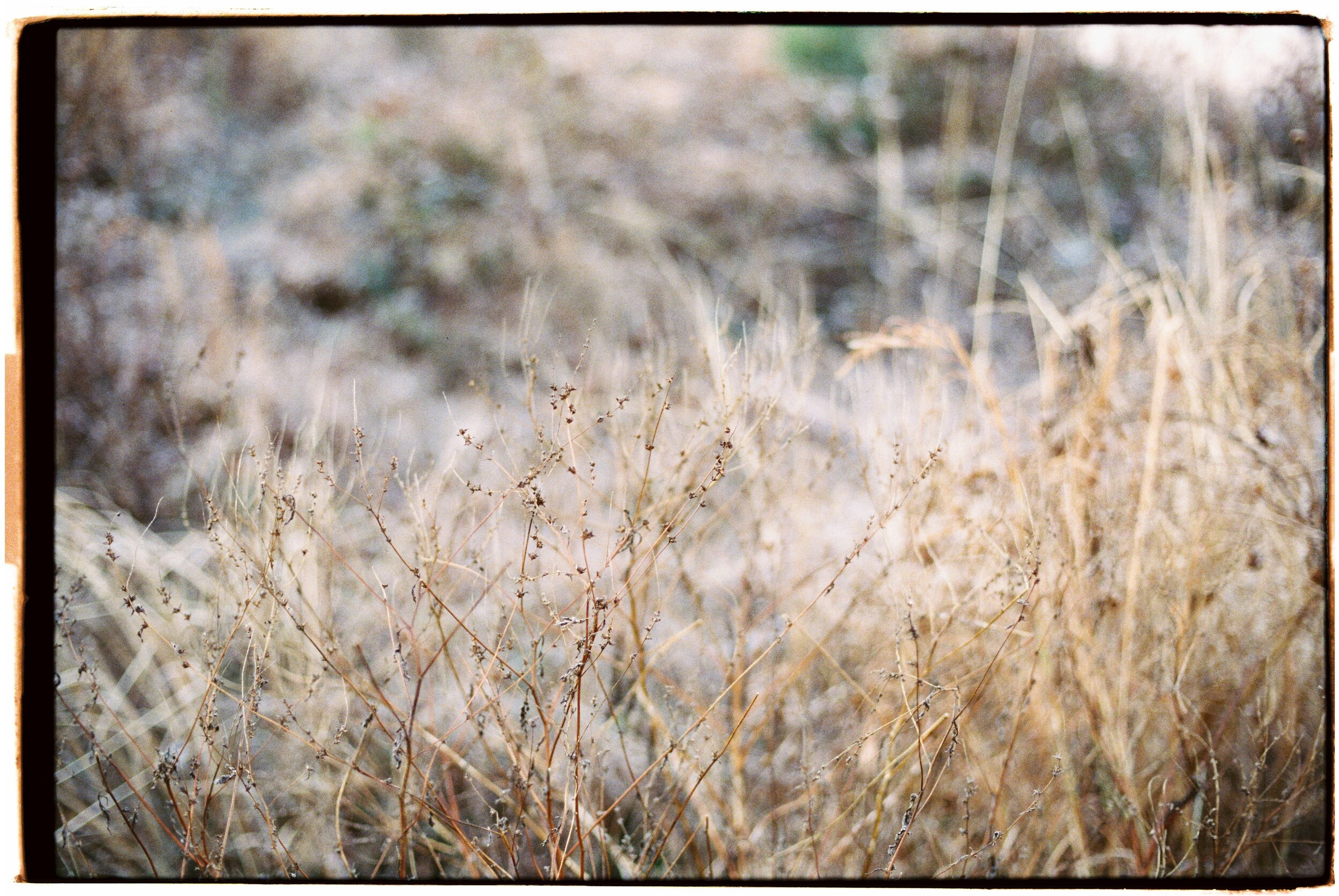 Knowing Christ Through Relationship With God | Devotional | Charles ...