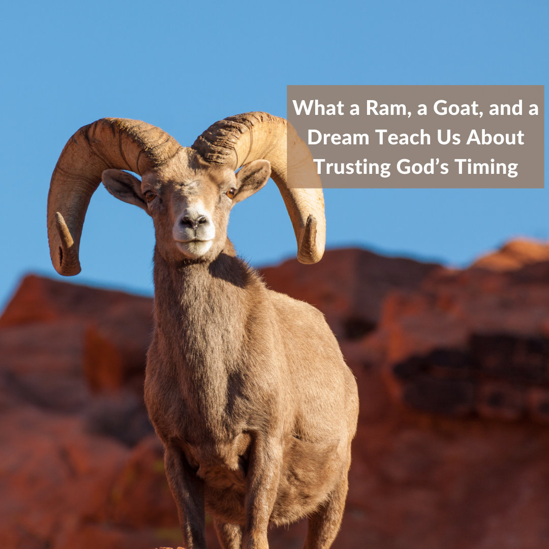 What a Ram, a Goat, and a Dream Teach Us About Trusting God’s Timing ...