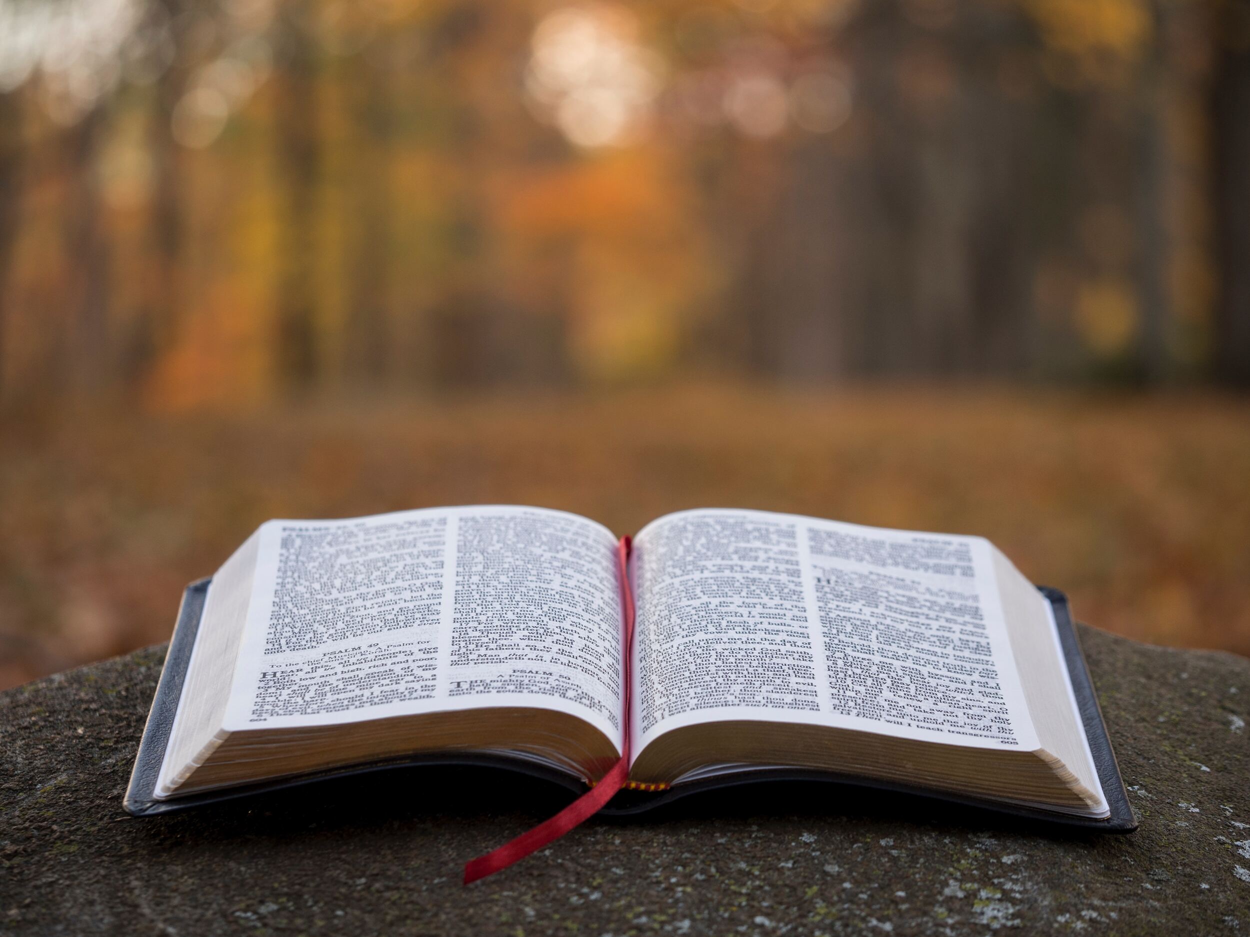 Live and Lead Like Him | Real Life Church