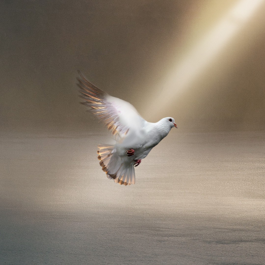 The Power of the Holy Spirit in Prayer: Our Divine Helper | Reflection ...