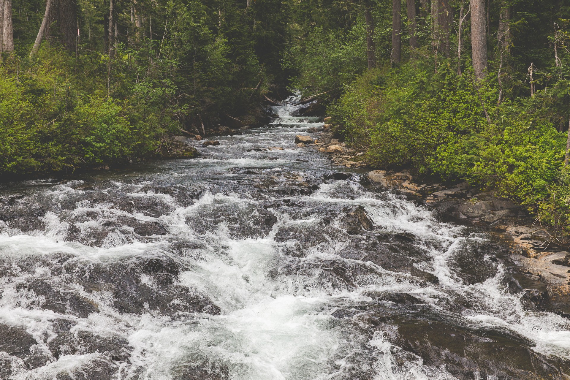 The River Within: Discovering the Refreshing Power of the Holy Spirit ...