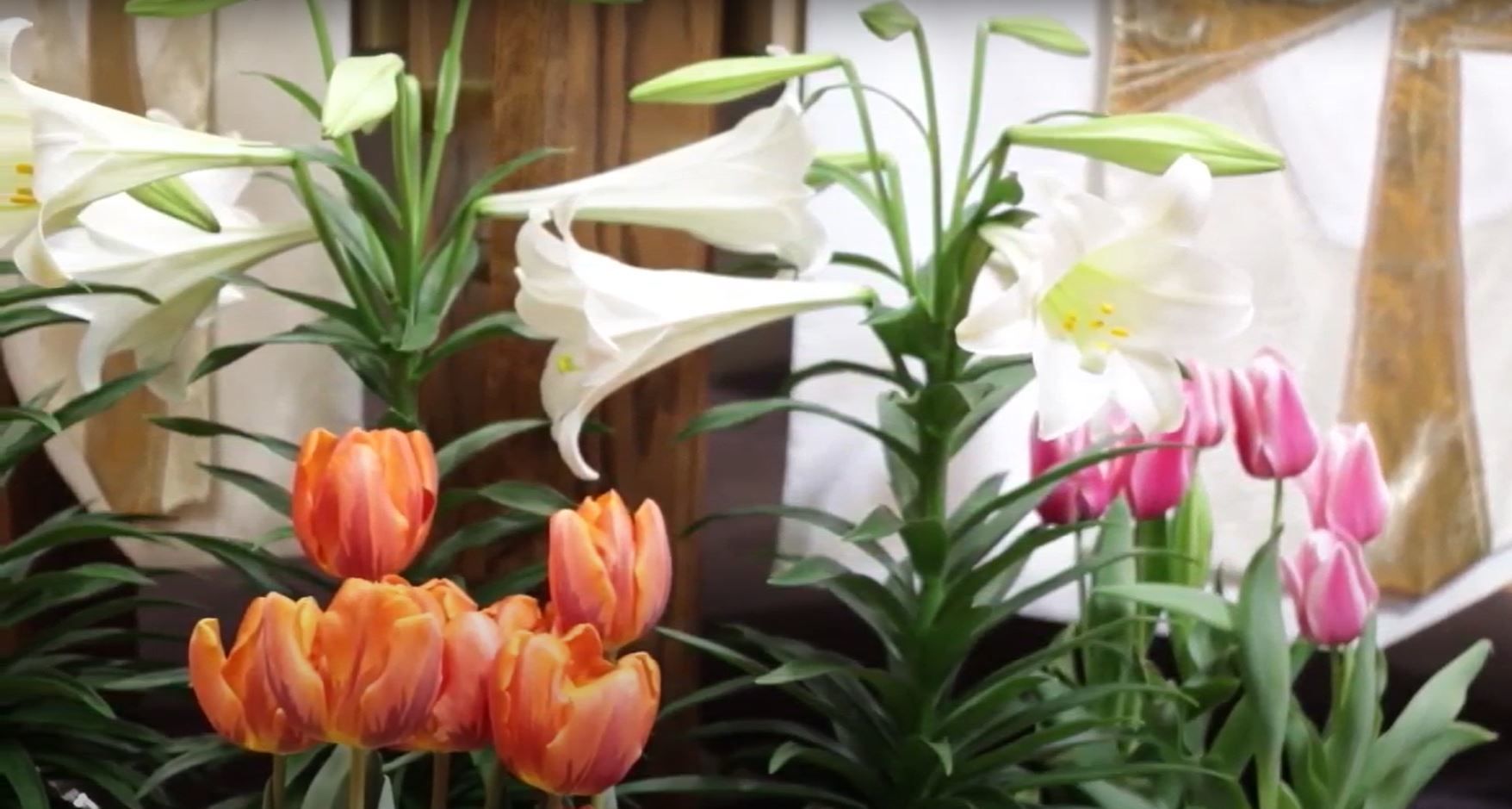 Easter Flowers | All Saints Lutheran Church