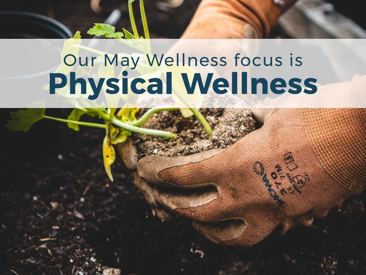 May Wellness Focus: Physical Wellness | All Saints Lutheran Church