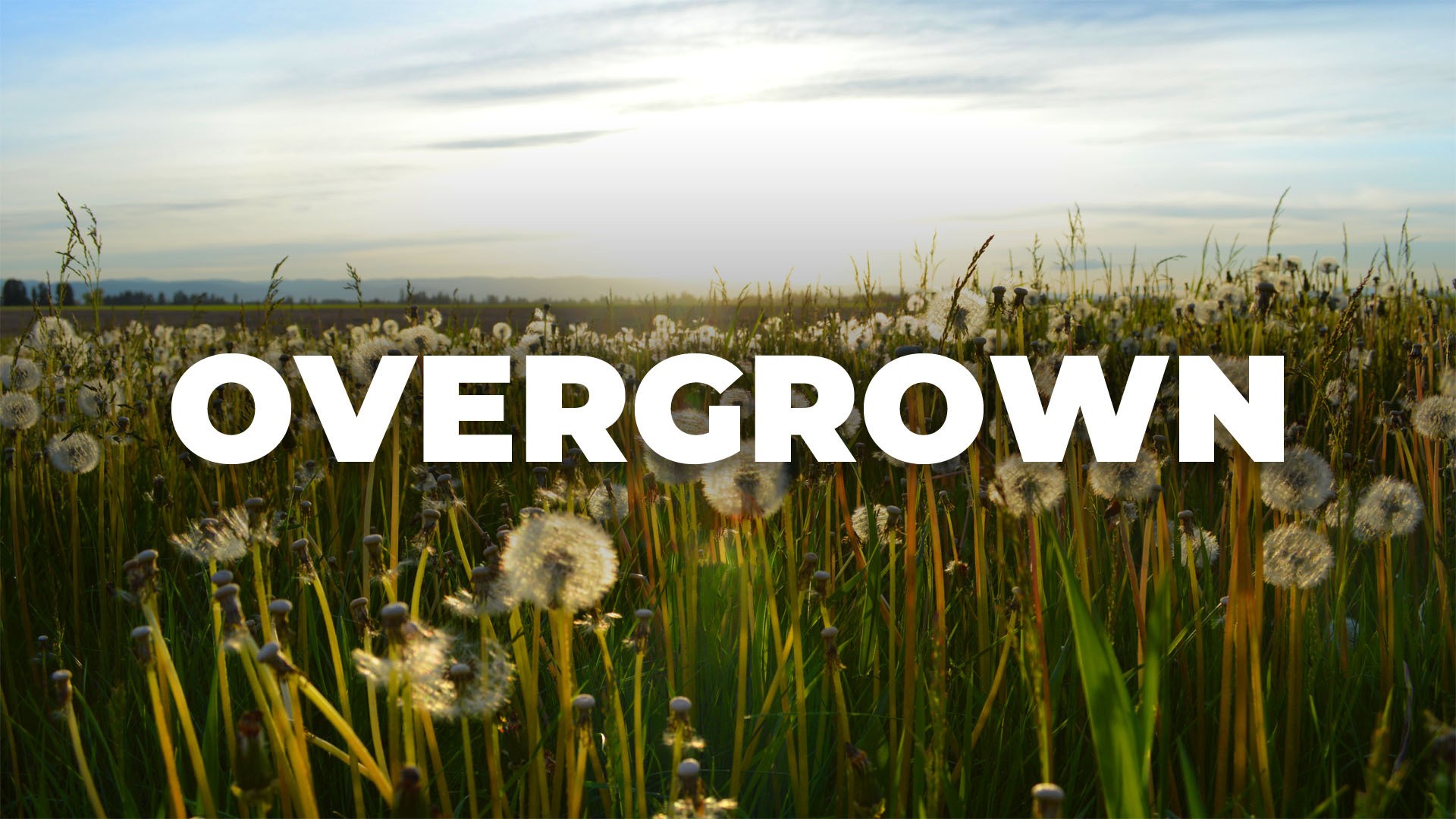 Overgrown - New Sermon Series | All Saints Lutheran Church