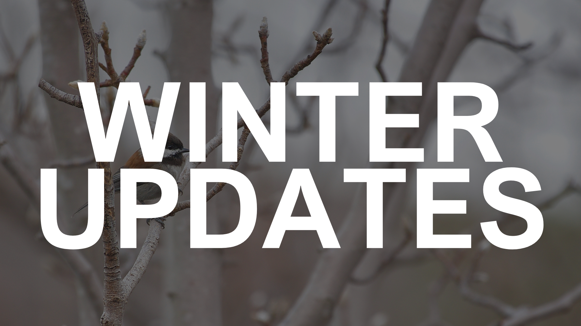 WINTER UPDATES | Anthem Church