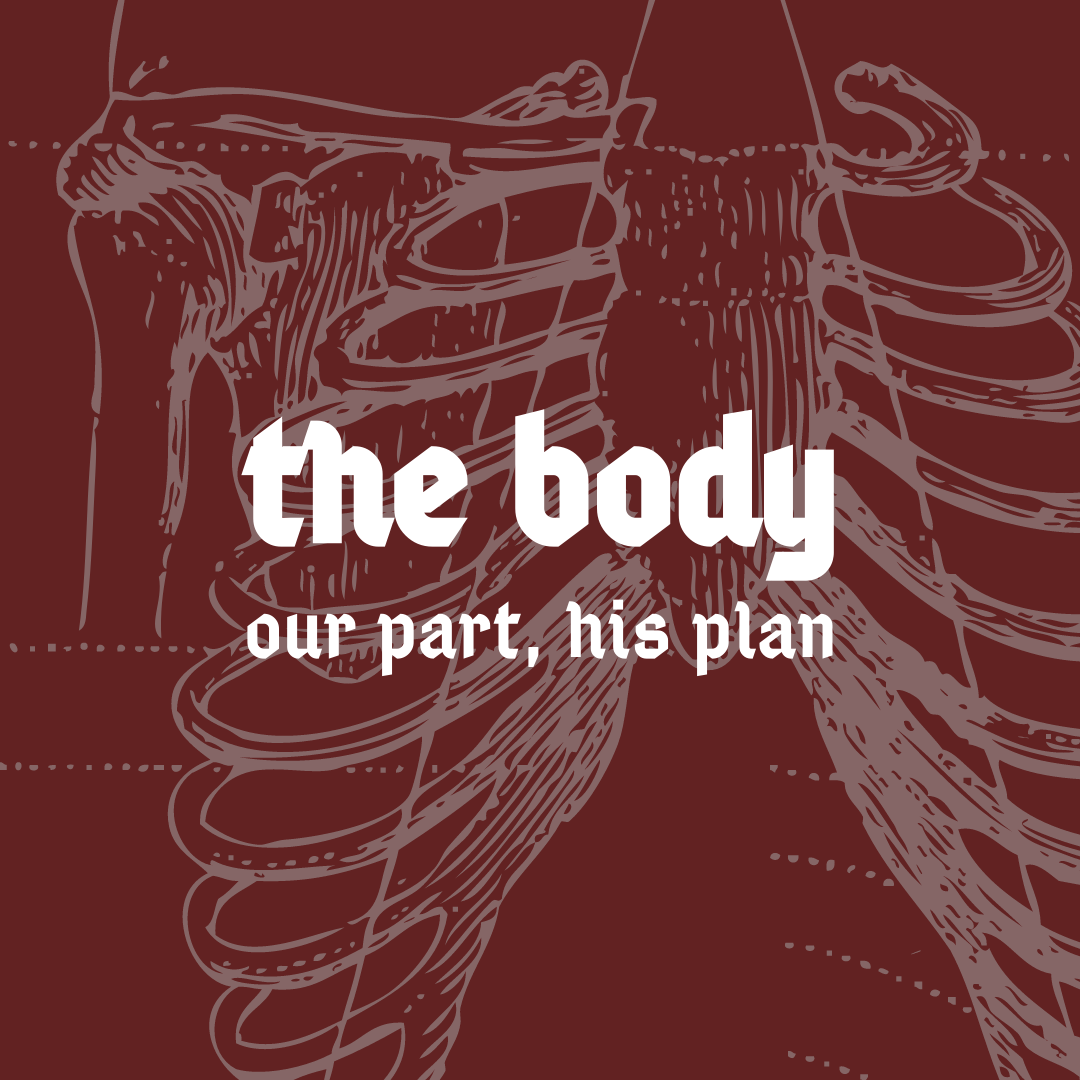 New Sermon Series | The Body | Anthem Church
