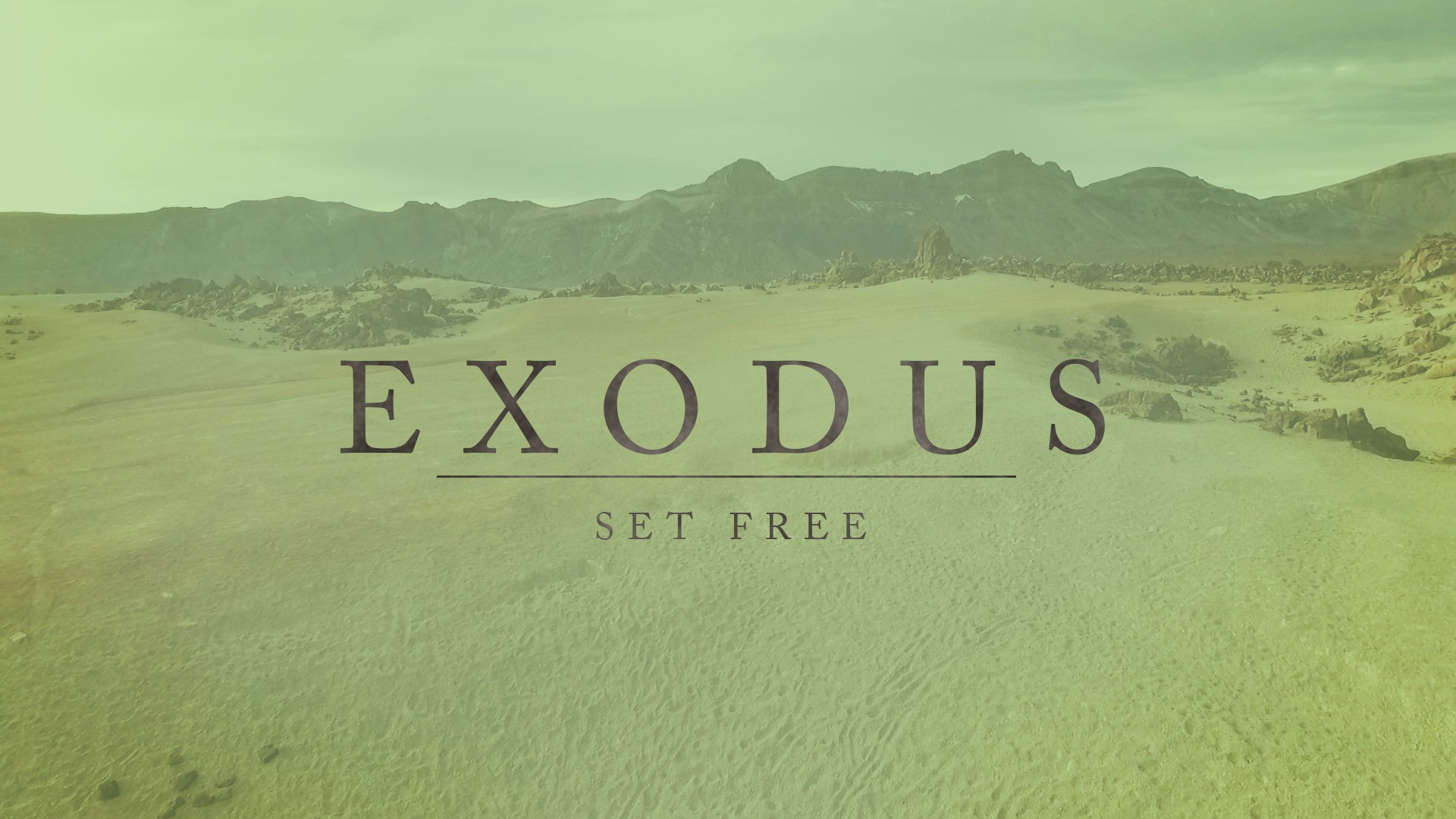 Exodus Part 2 - Frogs and Flies? | Trinity Point Church