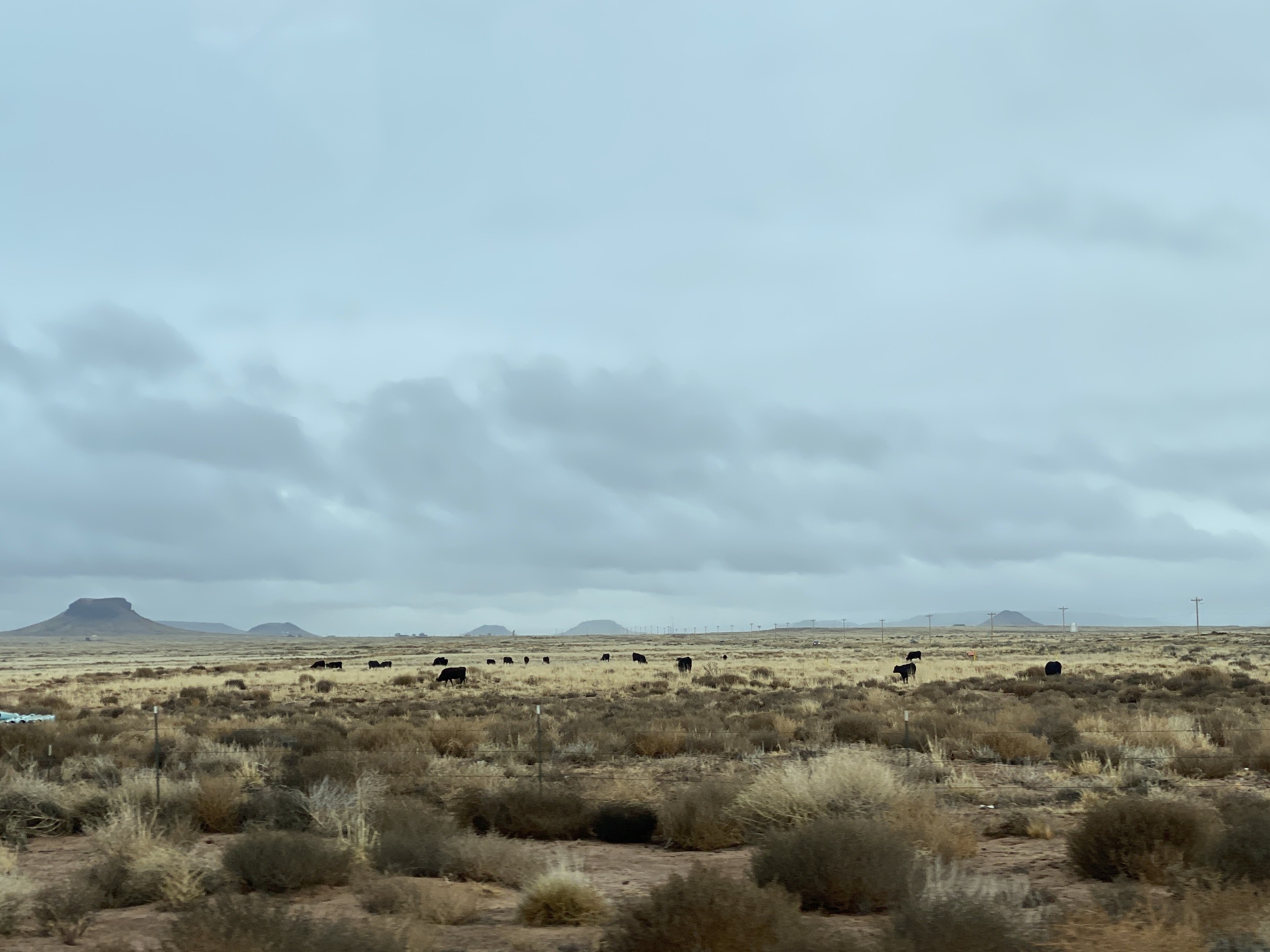Feb/March 2024 Loving Native America Newsletter | Vineyard Gilbert