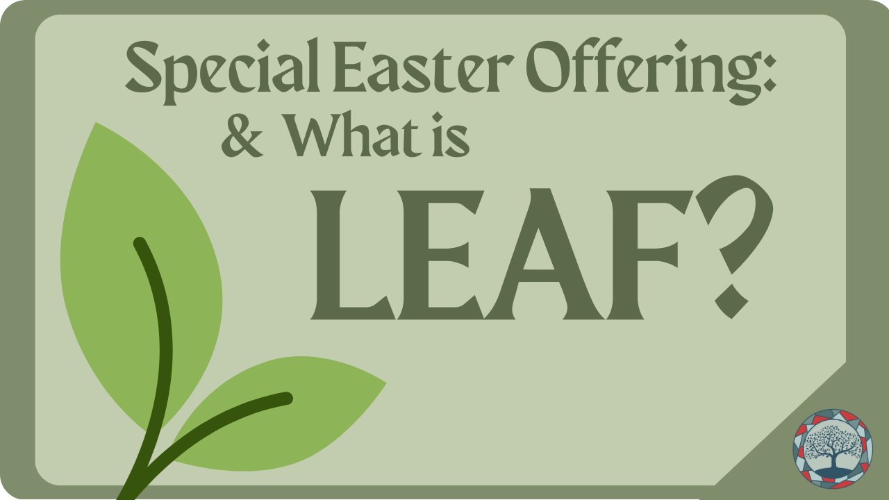 Special Easter Offering: LEAF | First United Methodist Church of Olympia