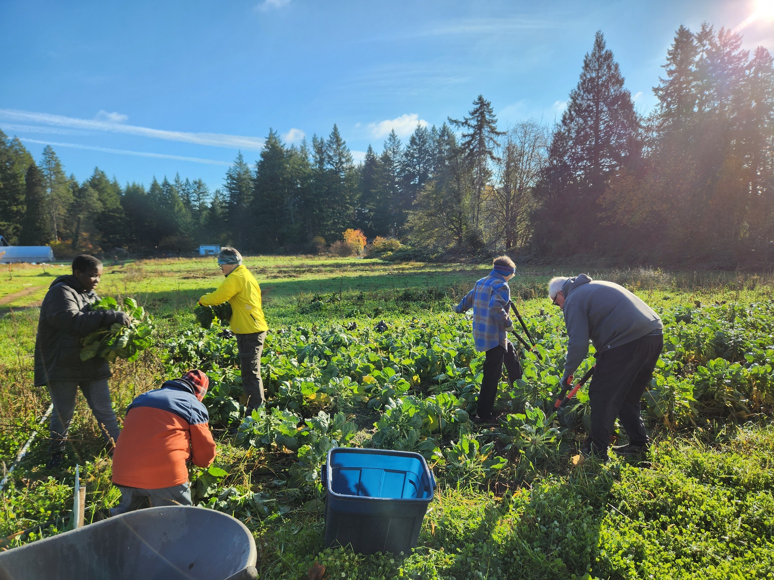 FUMCO Gleaners Update | First United Methodist Church of Olympia