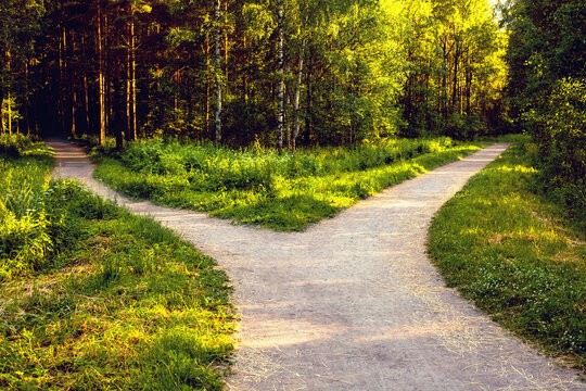 The two paths / இரண்டு வழி | Manna House Fellowship