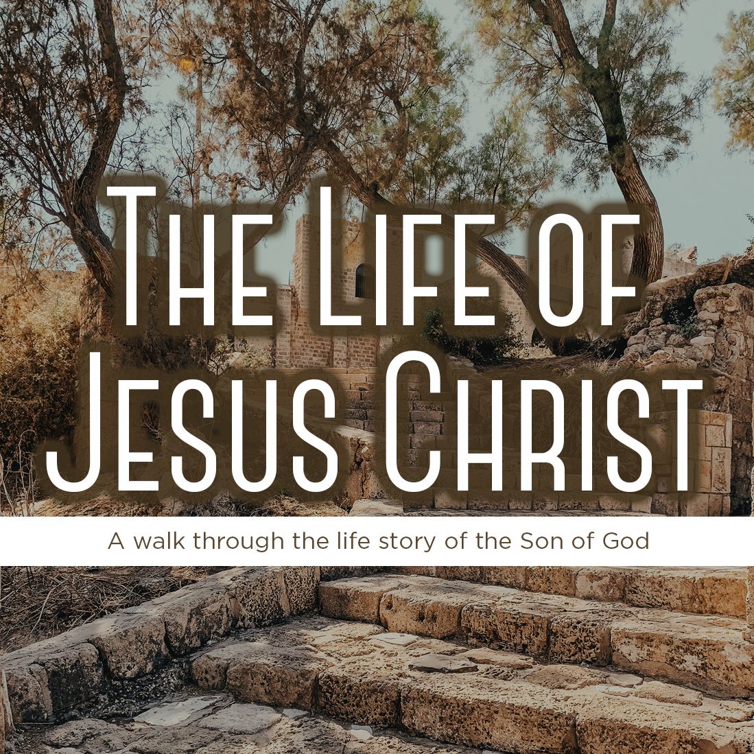 The Life of Jesus Christ: Jesus, Blindness, and Humility | Faith Bible ...