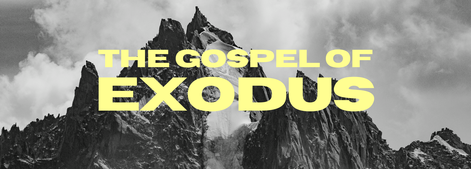 DEVOTIONAL: Exodus 2:11-25, Trusting God's Timing | Oak Grove Baptist ...