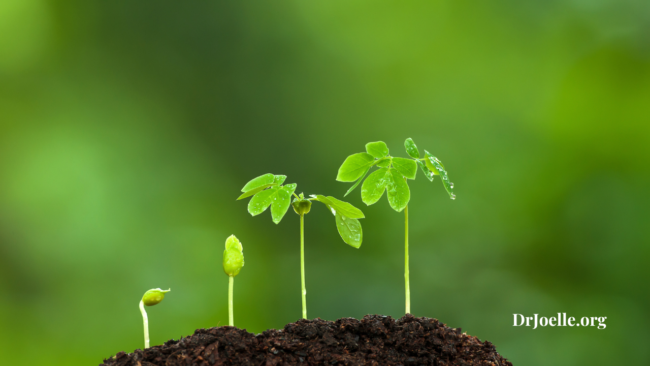 The Incorruptible Seed | Glory to Glory Christian Center