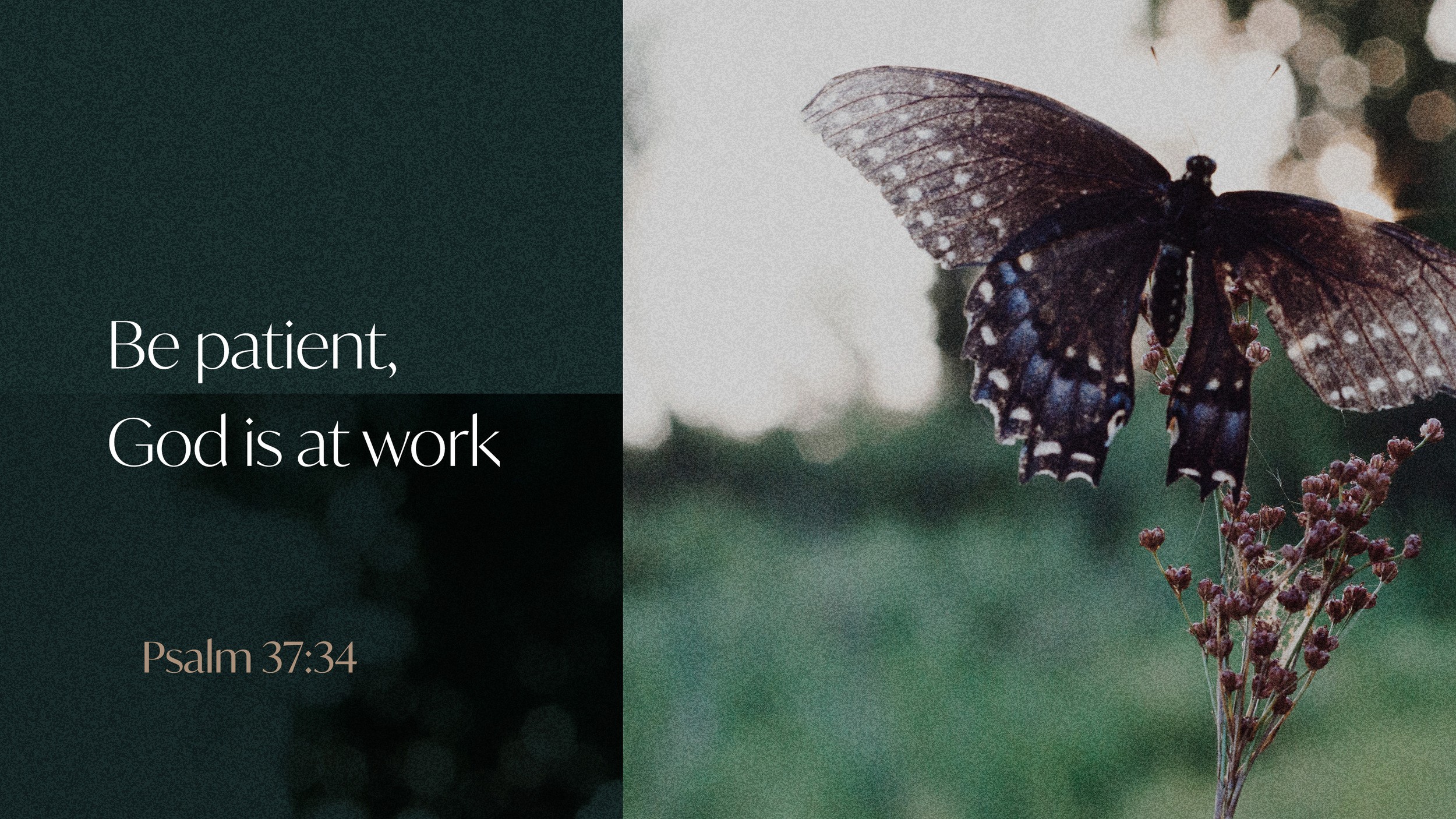 BE PATIENT, GOD IS AT WORK | The Church @ War Hill