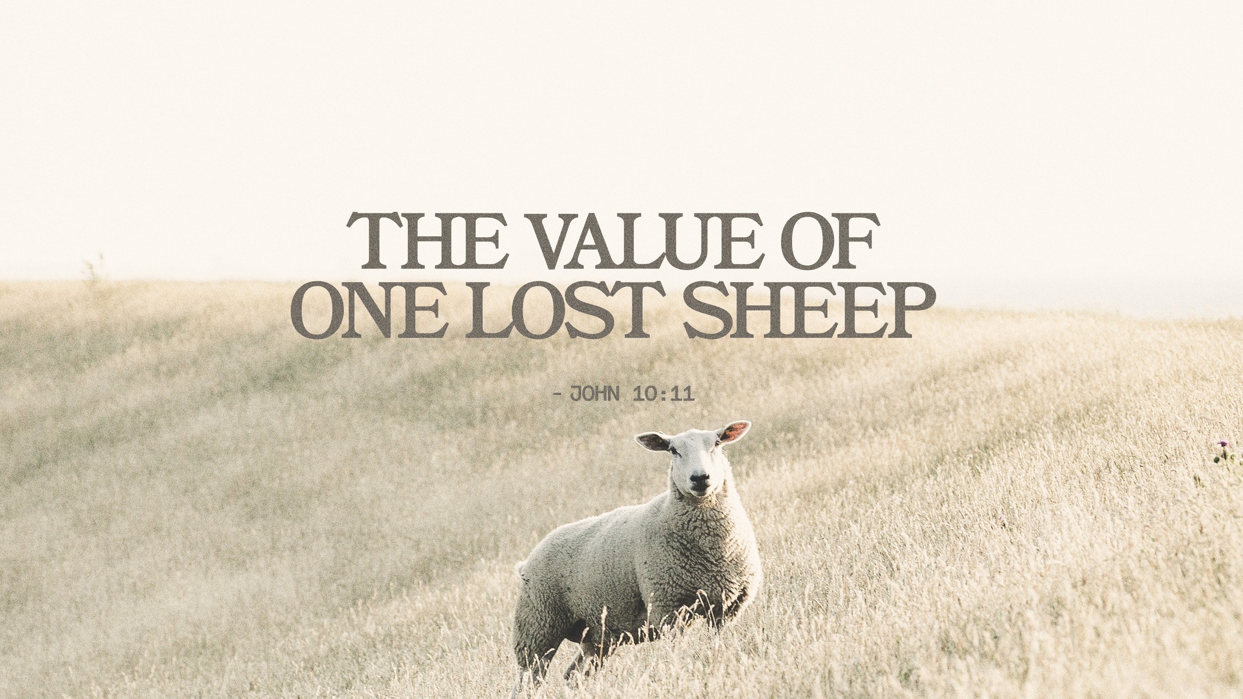 THE VALUE OF ONE LOST SHEEP | The Church @ War Hill