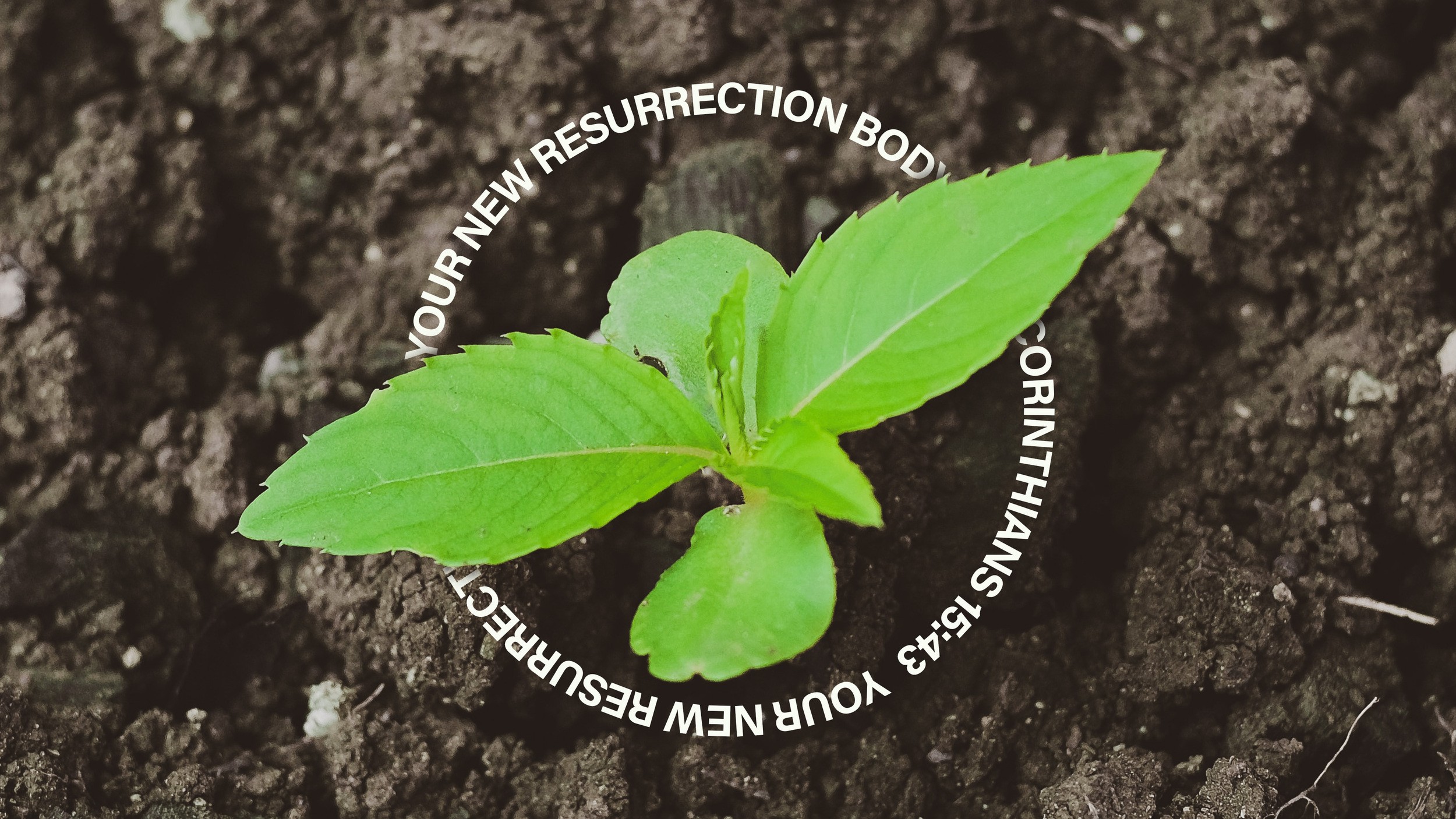 YOUR NEW RESURRECTION BODY (2) | The Church @ War Hill