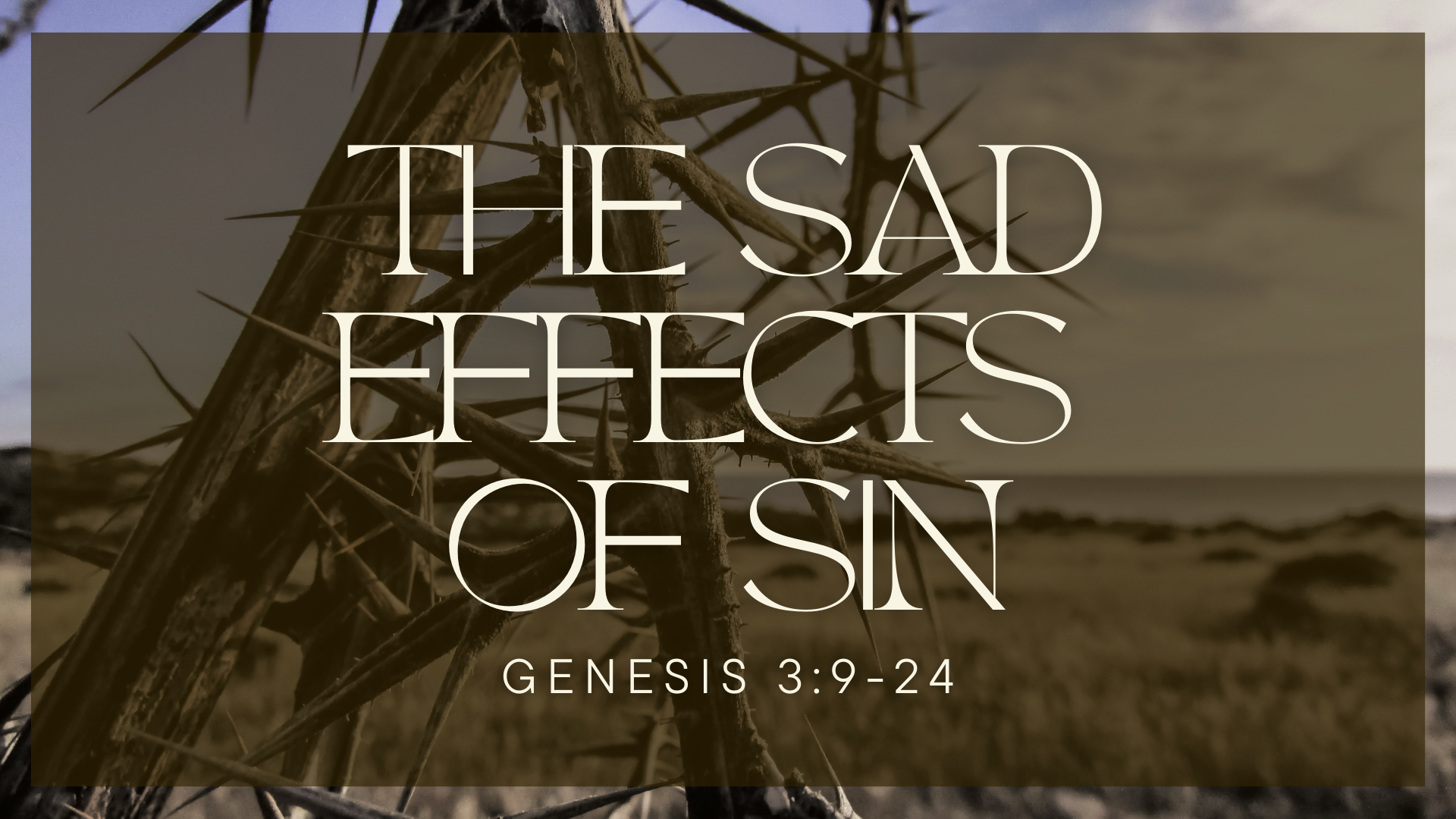 The Sad Effects of Sin | Brookdale Baptist Church