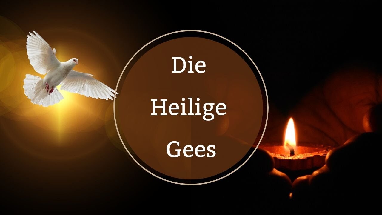 Almal wat hulle deur die Gees van God laat lei, is kinders van God ...