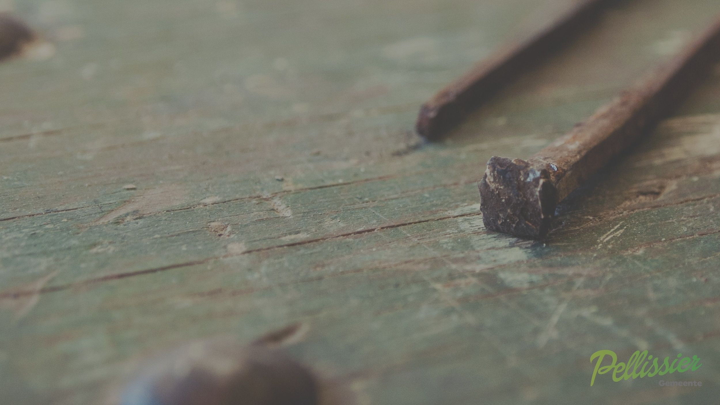 Lydenstyd 2022 - Rikus Hattingh | Pellissier Gemeente