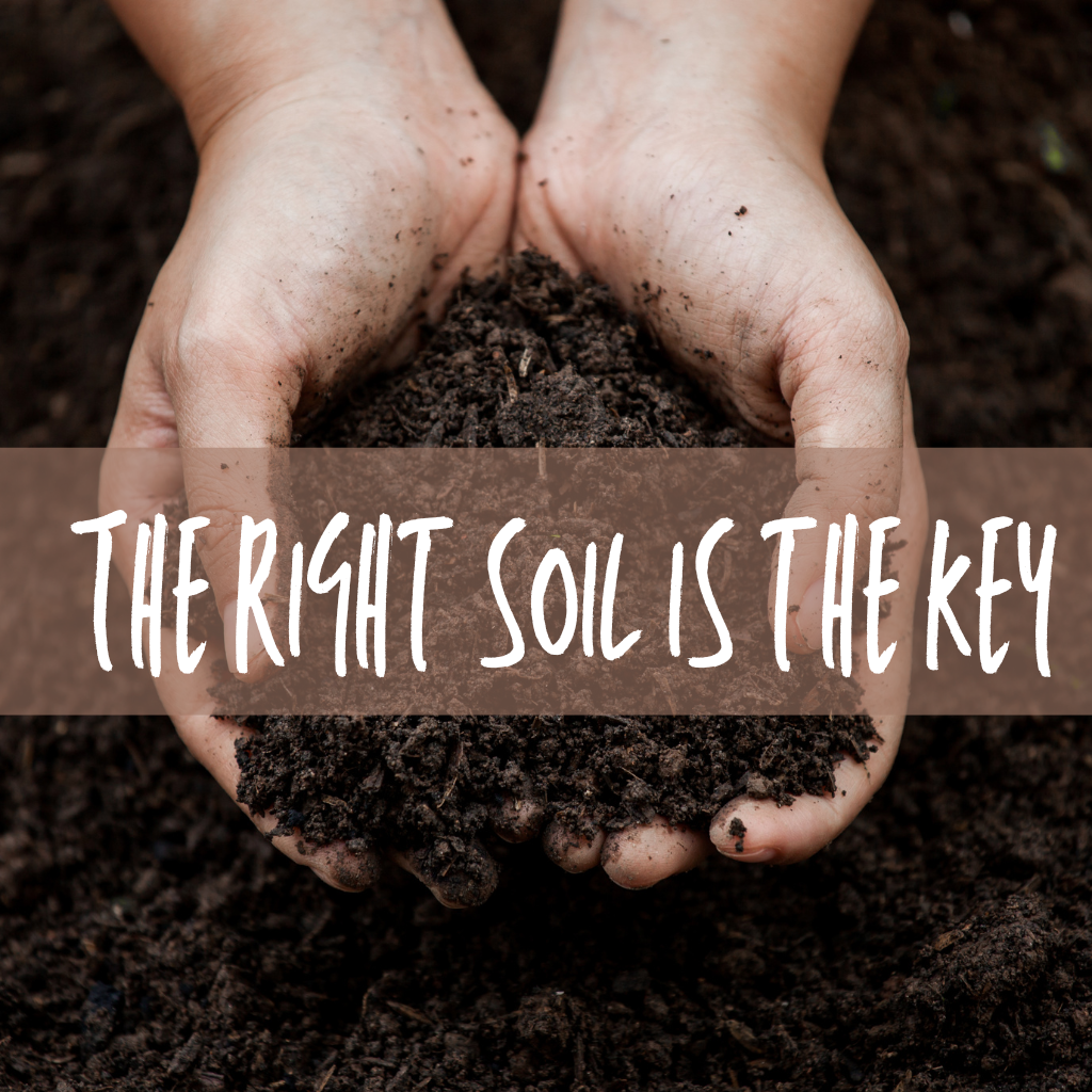 The Right Soil is the Key | DuBois Light and Life Church