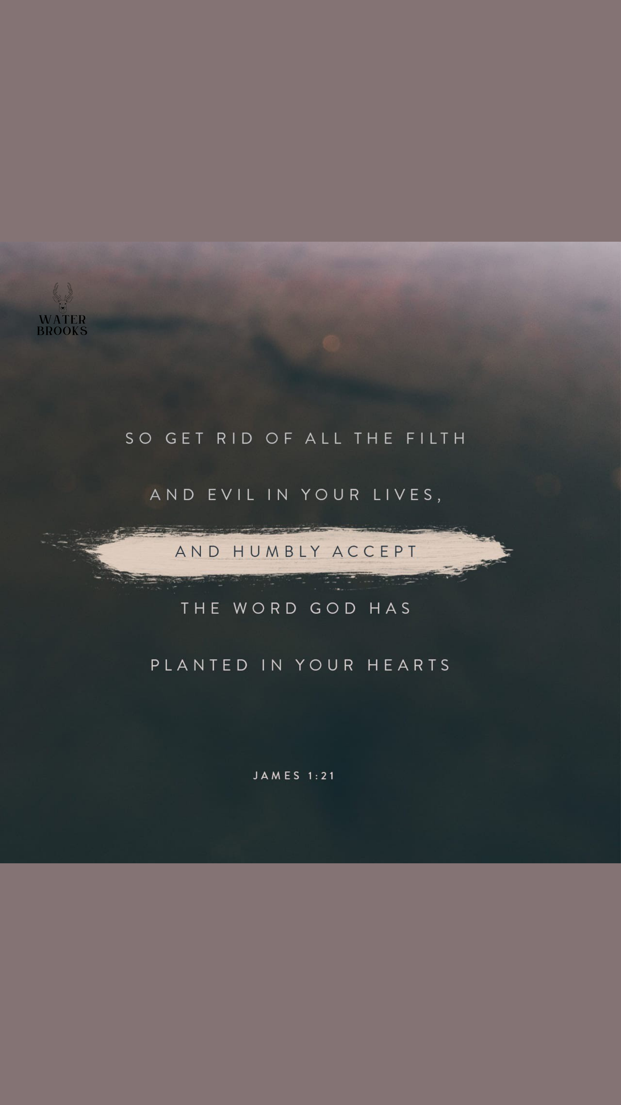 Washing with the Word | Water Brooks Church