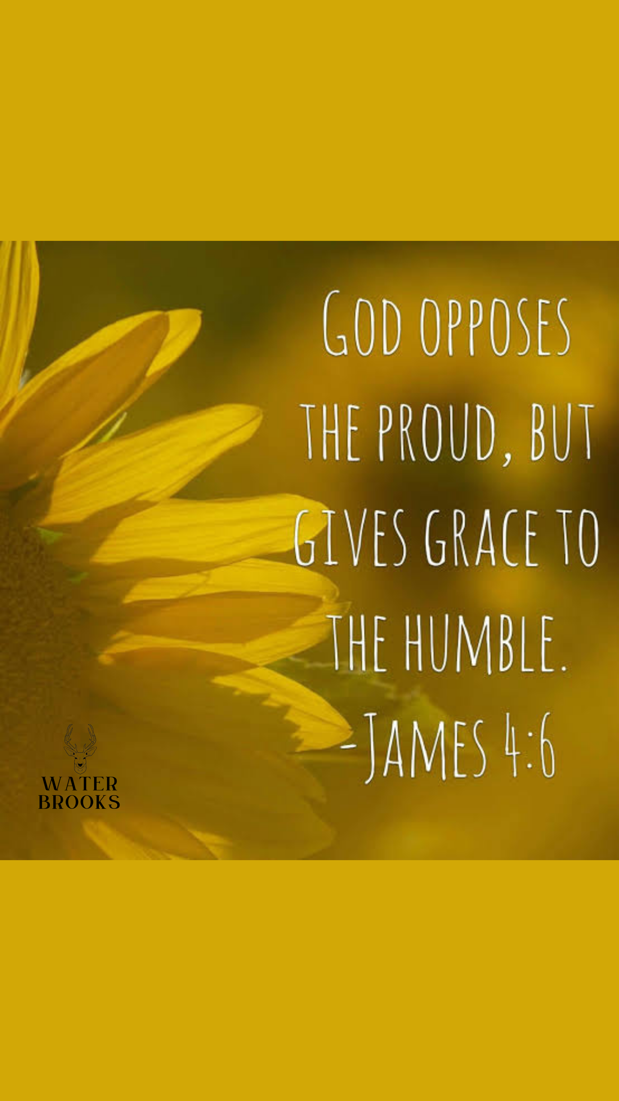 Grace upon Grace | Water Brooks Church