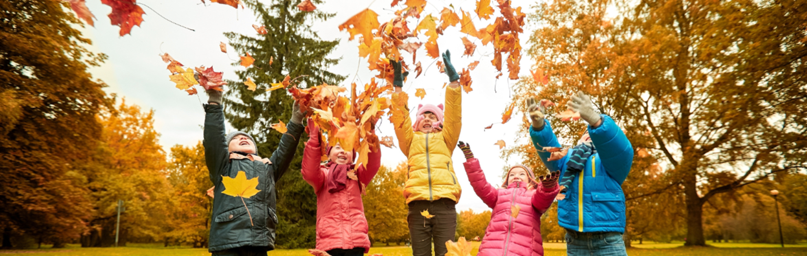 A Suggestion, a Request, a Plea, and an Observation | First UMC Fox Hill