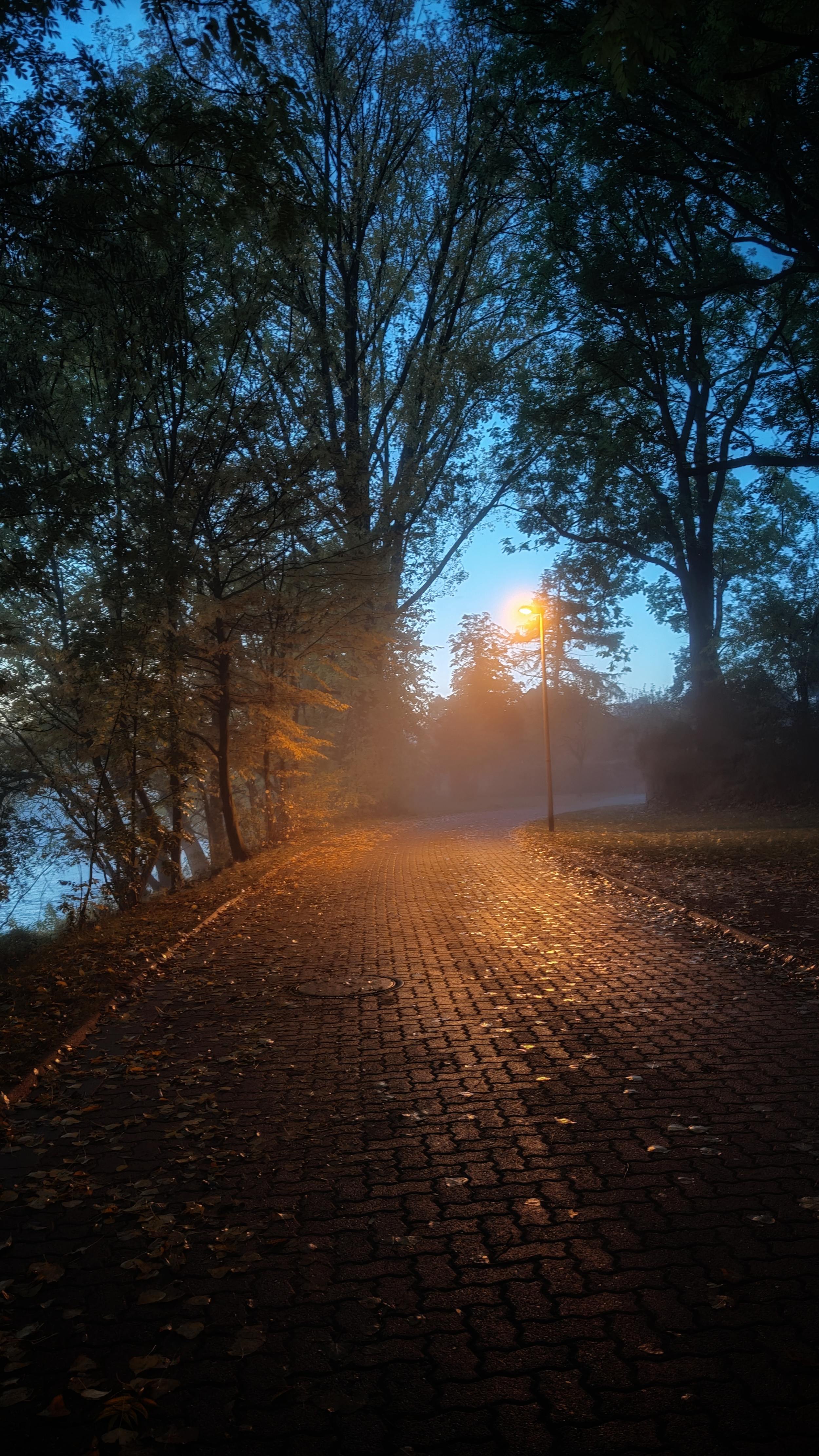 A Light to our Path | Victory Church Grande Prairie