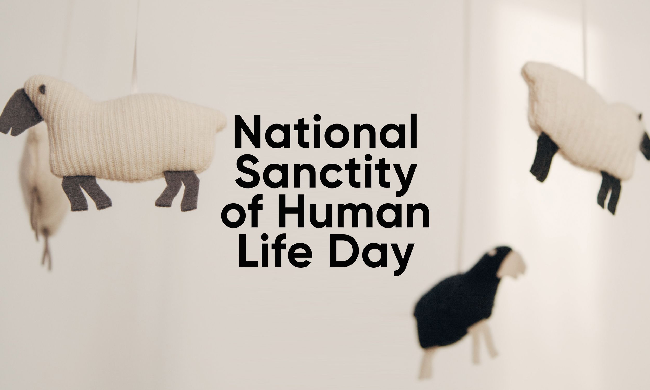 National Sanctity of Human Life Day | Calvary Church of Naperville