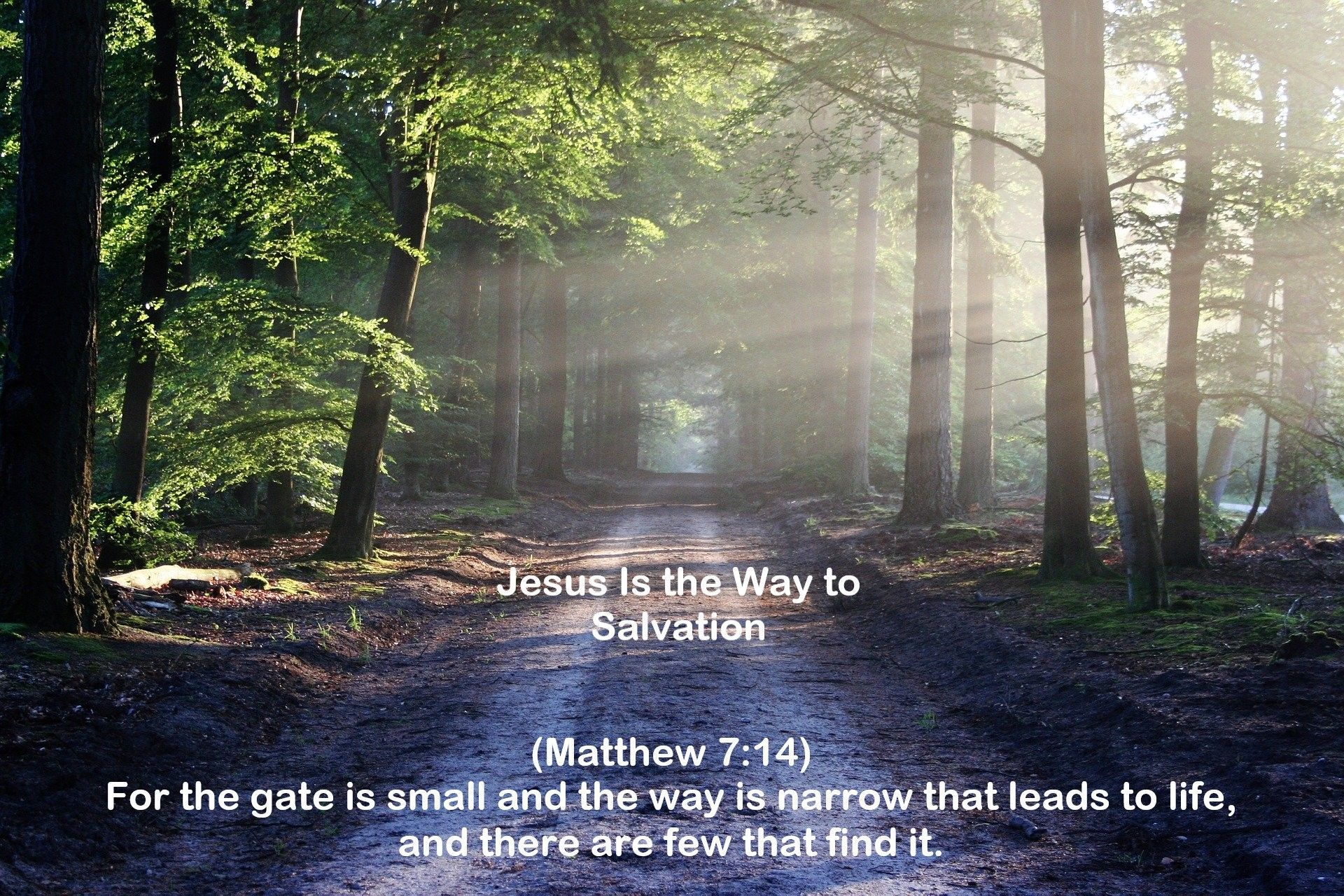 Narrow Is The Way!! | Wake Up Ministries Alive In Christ