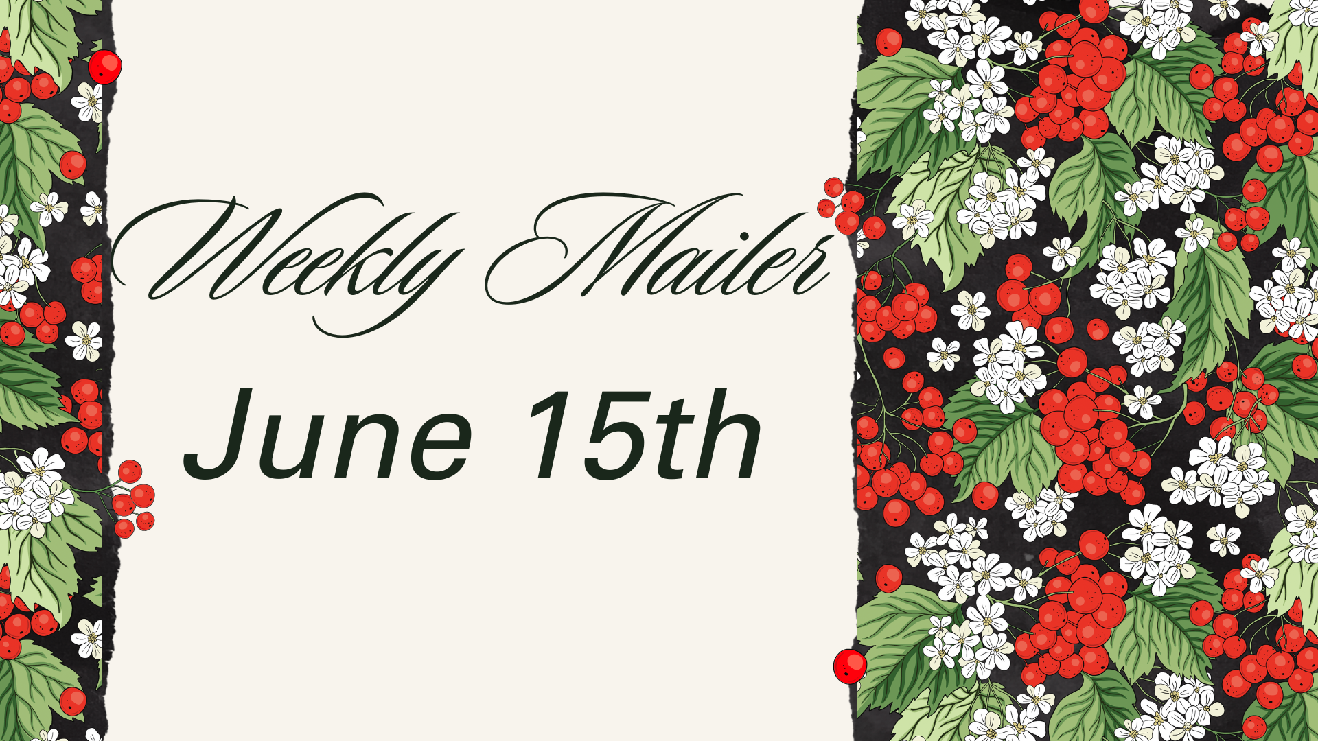 Weekly Newsletter June 15th | St. Paul's United Methodist Church Ocala