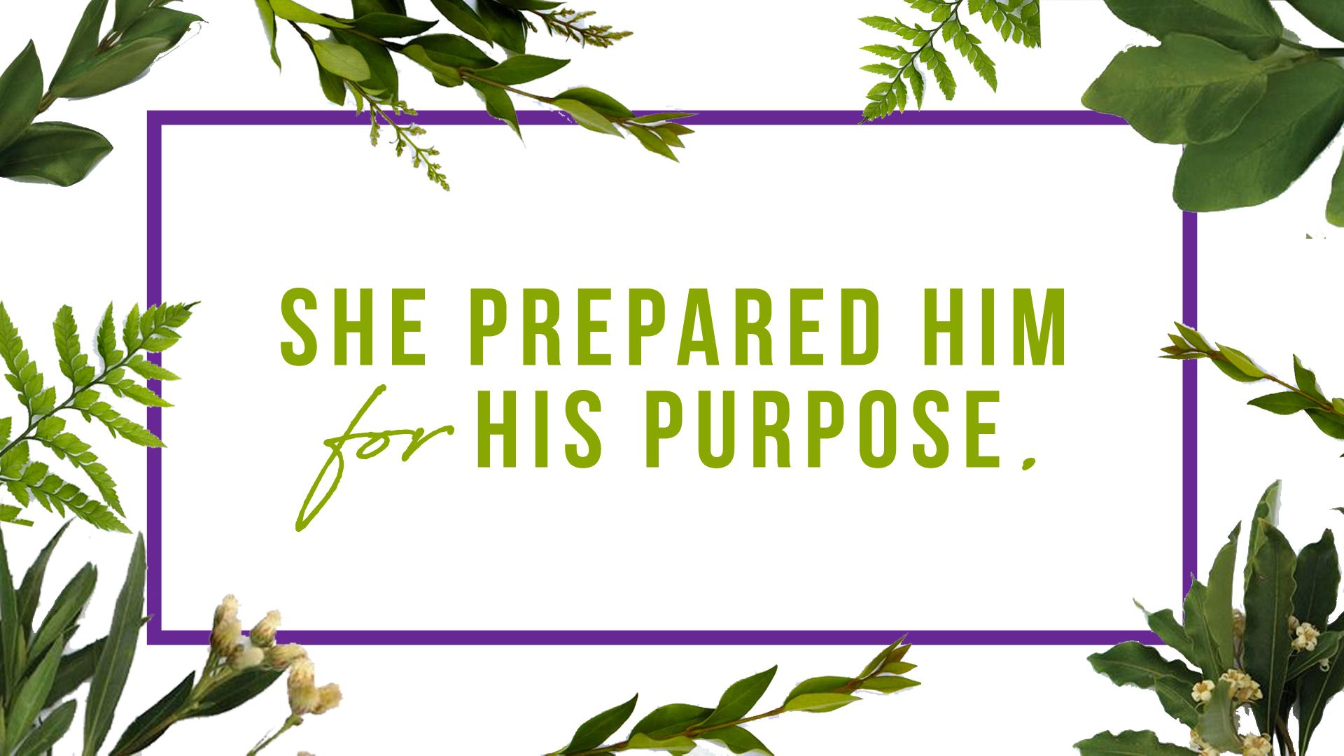 Holy Week: Day 4 | First Baptist Gulfport