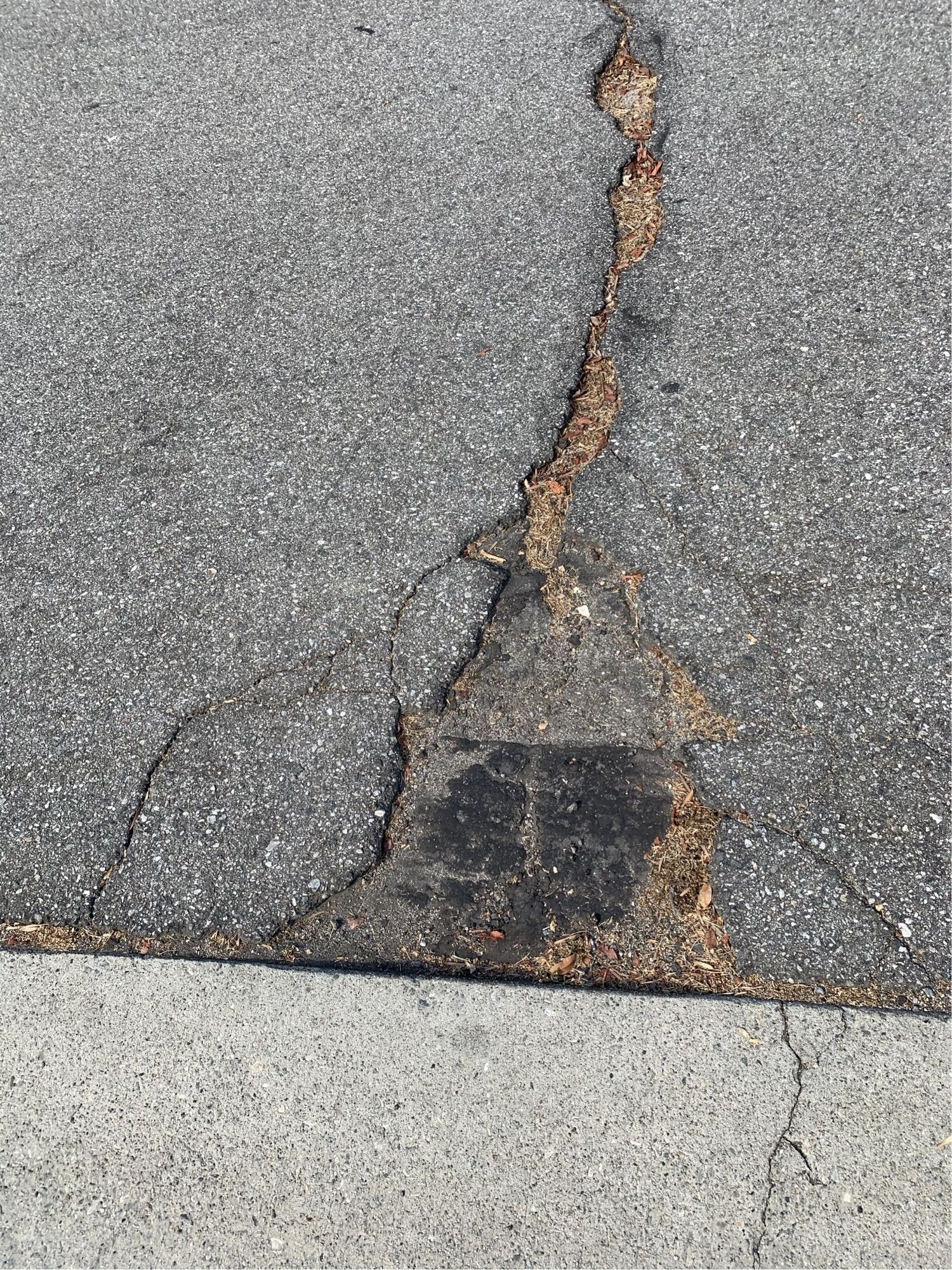 No Lowballing God | Chapel of Change