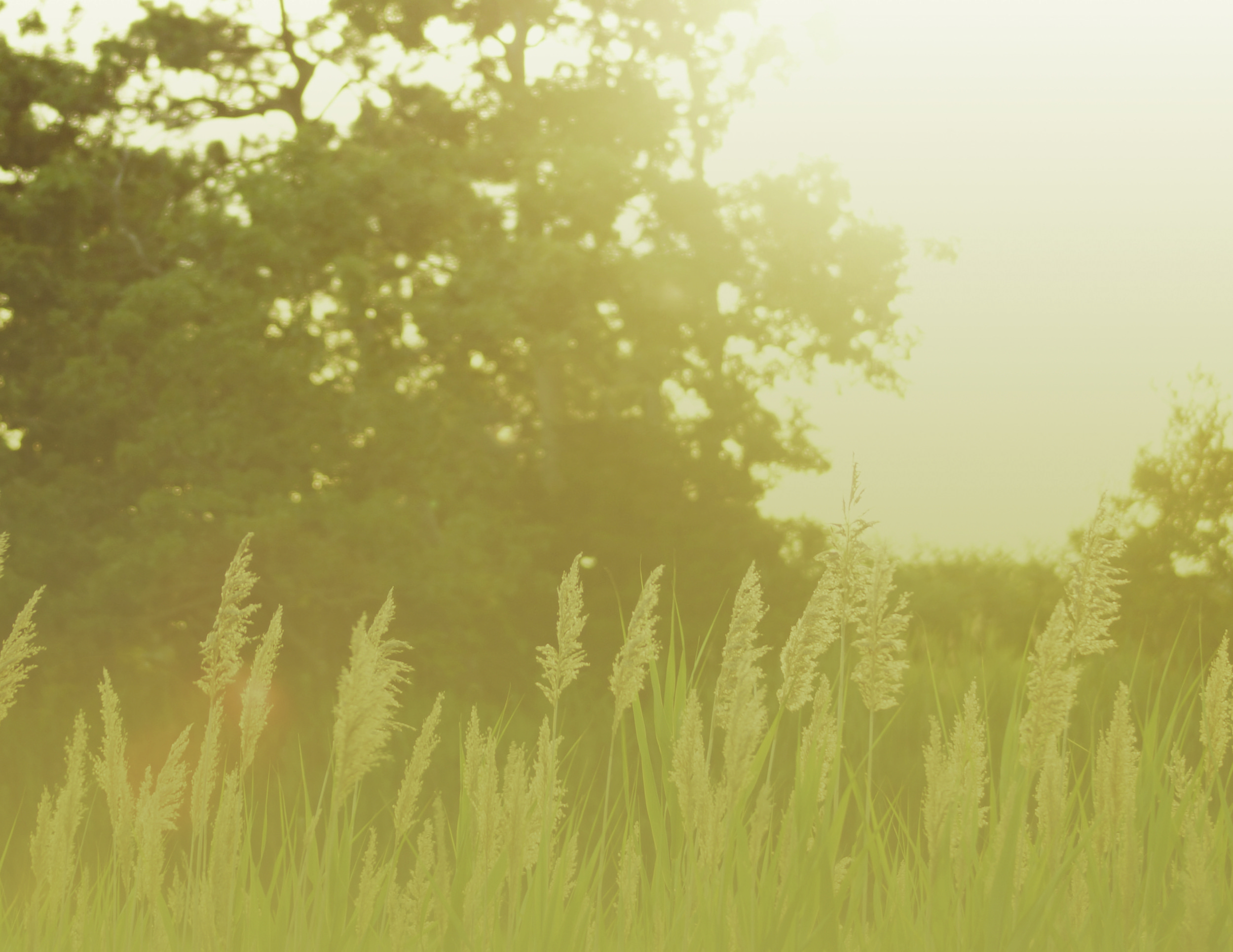 Sunday, December 31, 2023 | Northlake Bible Church