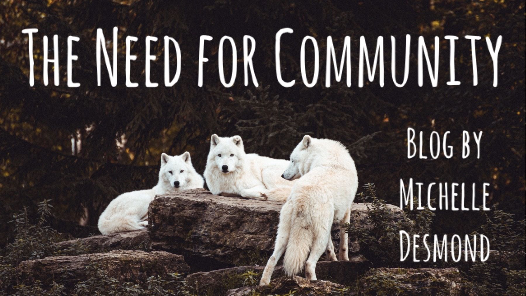 The Need for Community | Tehachapi Vineyard