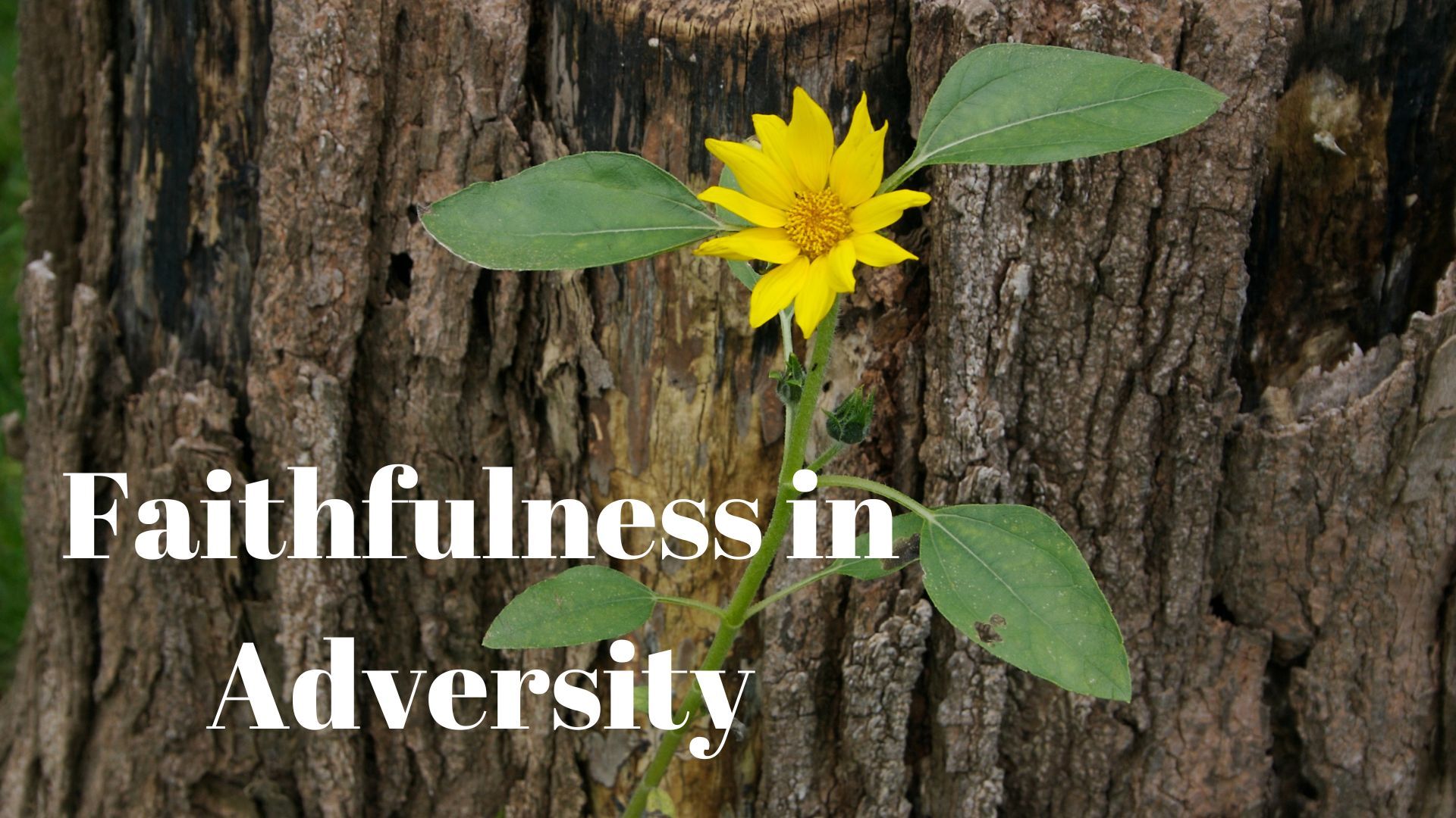 Generational Discipleship | Praise Tabernacle