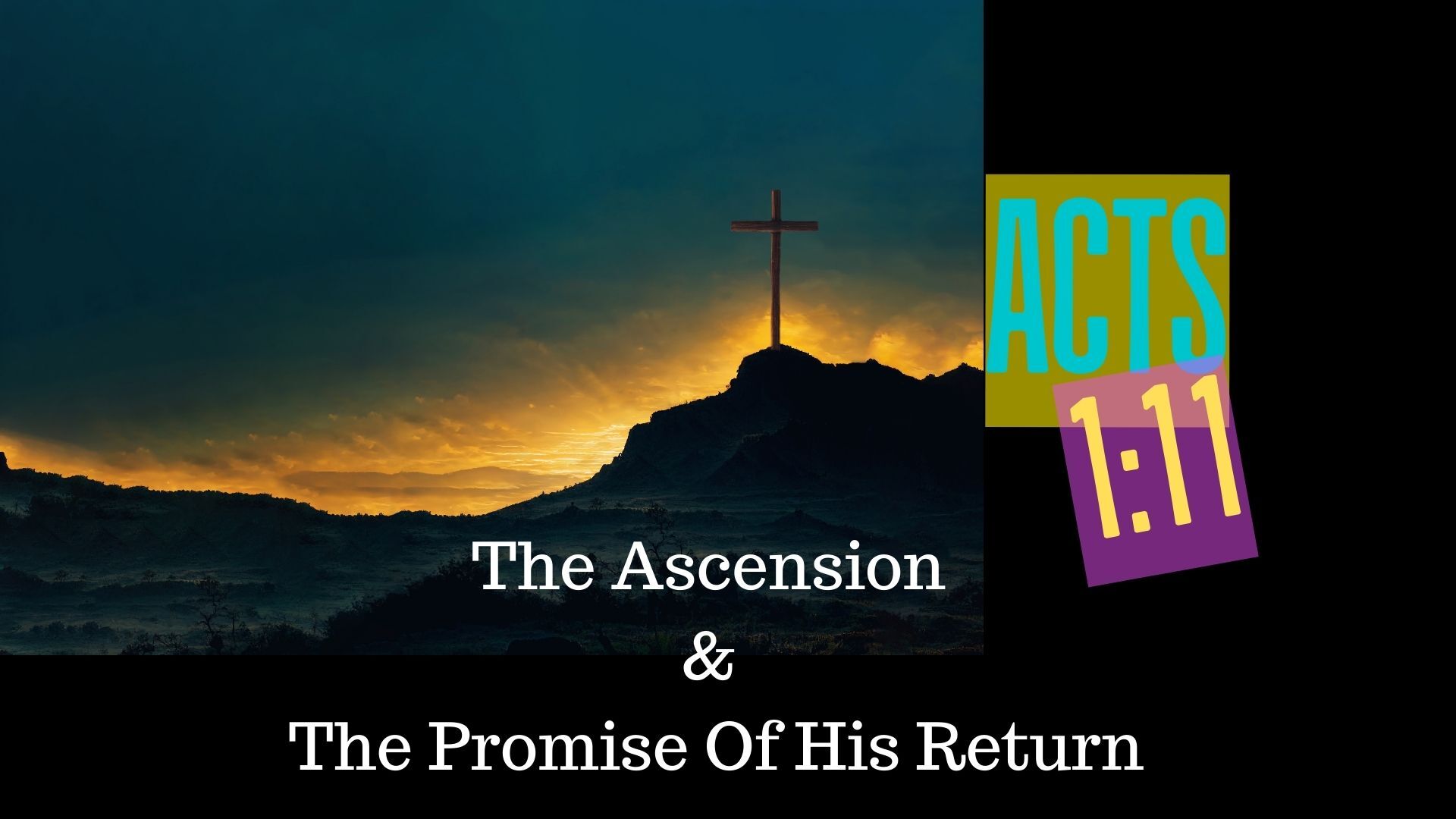 Empowered Witnesses | Praise Tabernacle