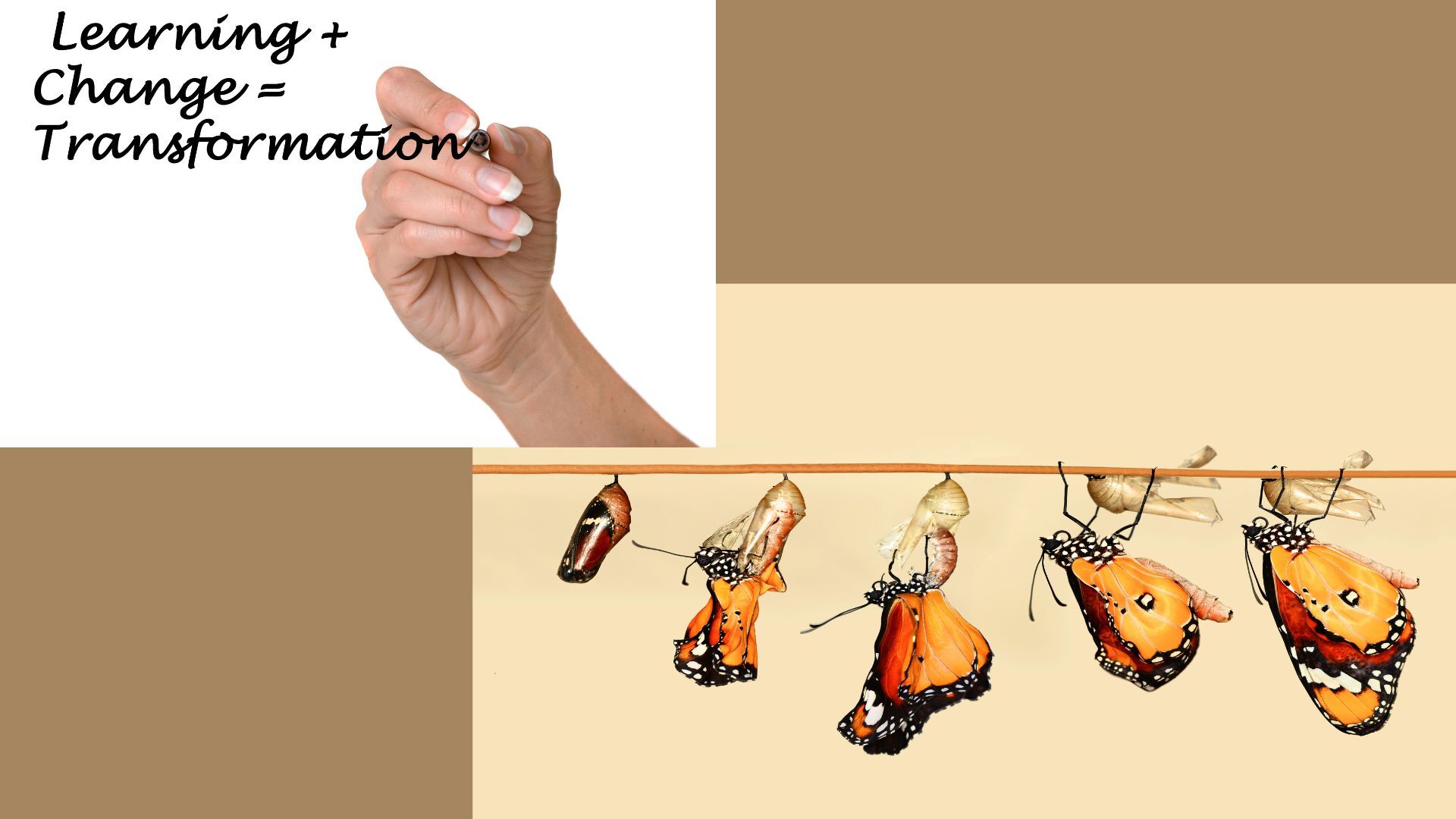 Inner Transformation | Praise Tabernacle