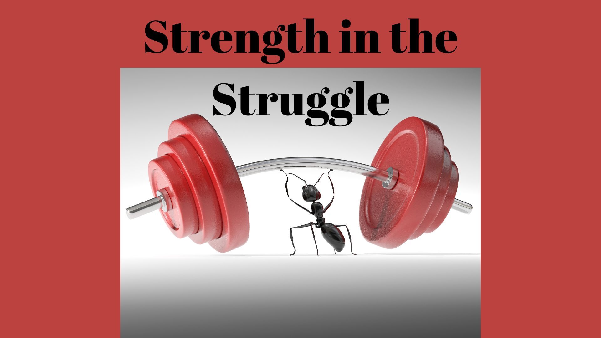 Strength In The Struggle | Praise Tabernacle